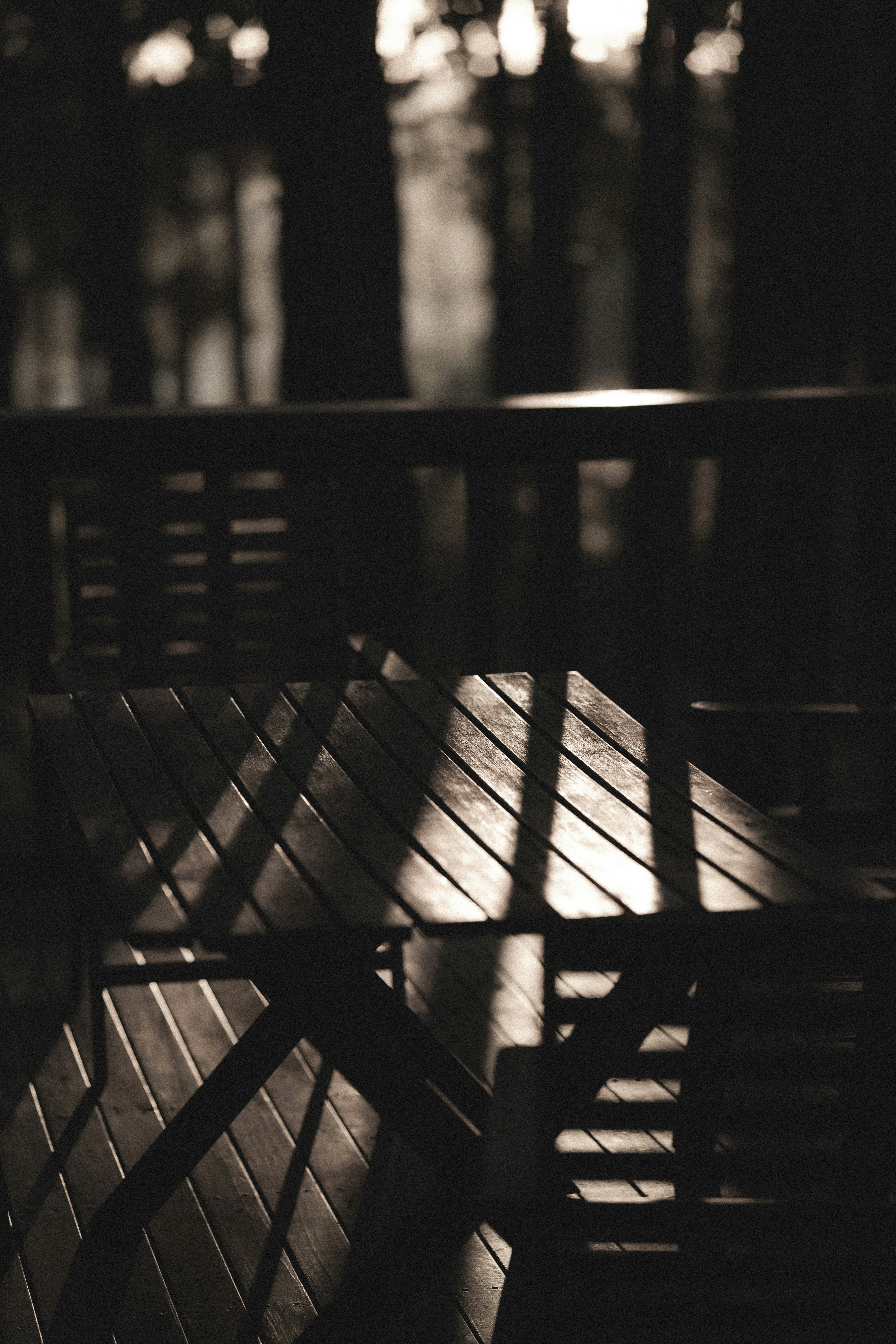 Sunlit Carved Silence: a Wooden Table in a Dim Park