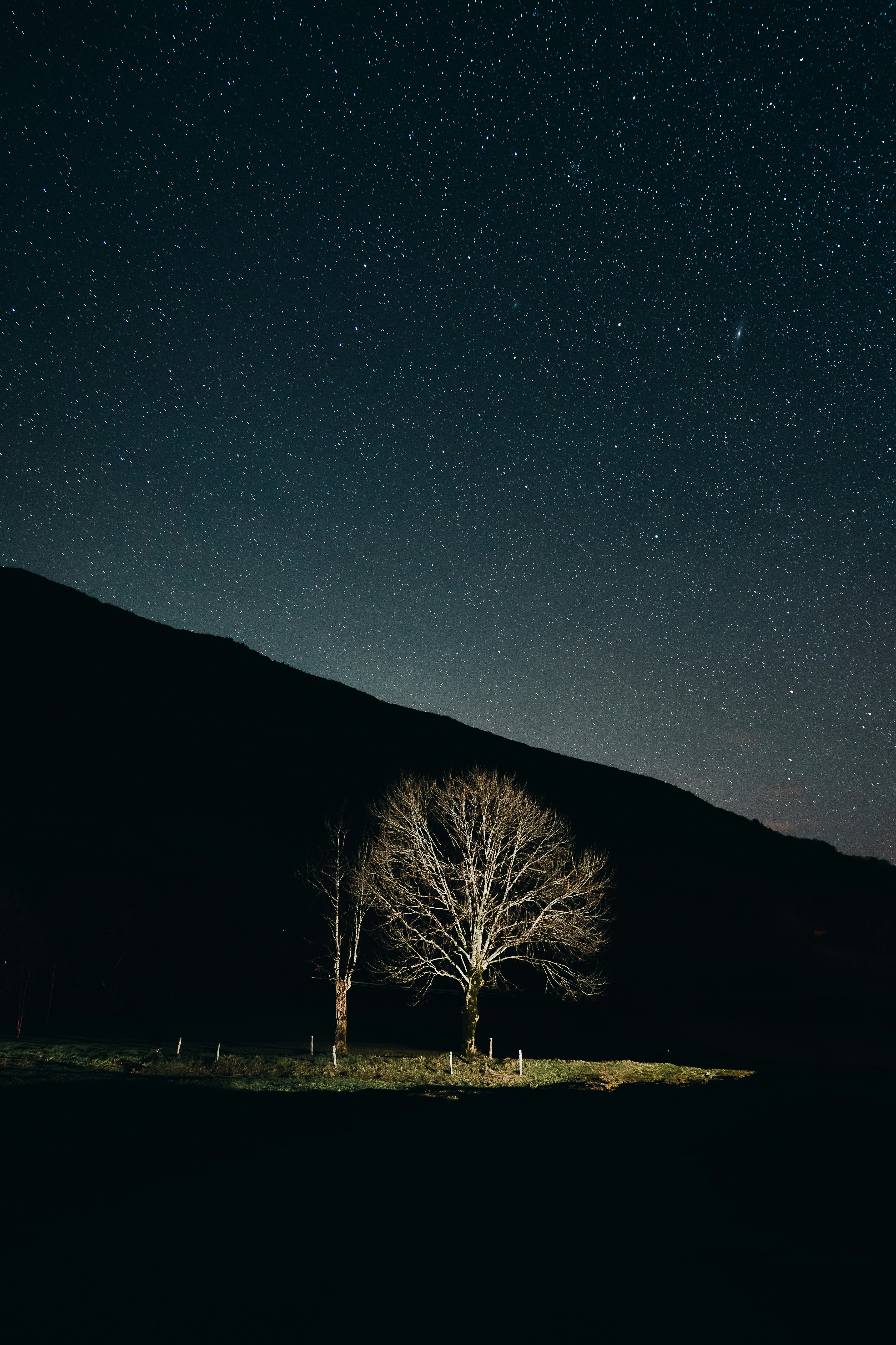 Photo by Benjamin Chambon with Sony Alpha 7 III