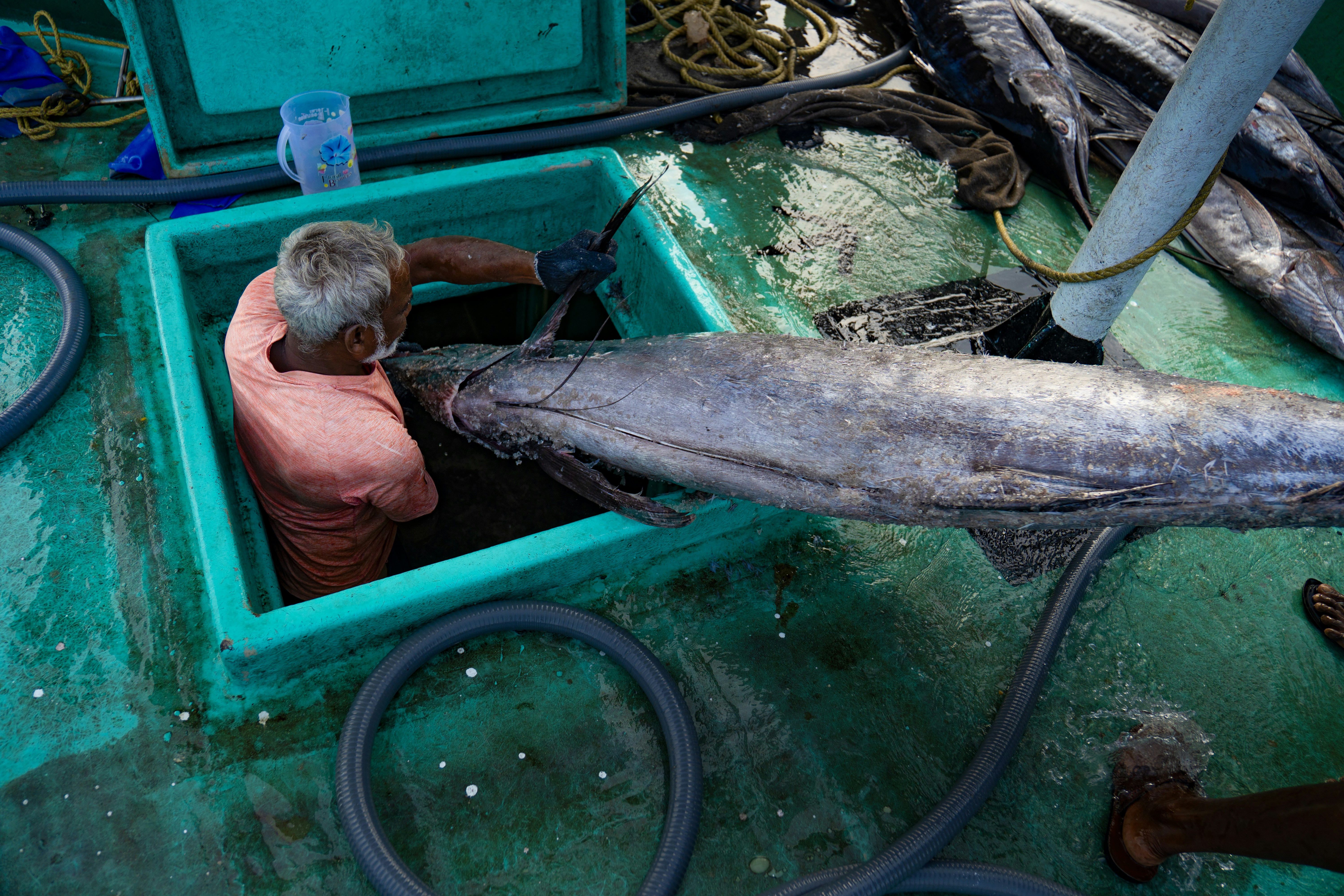 Photo by Naveena V with Sony Alpha 6100