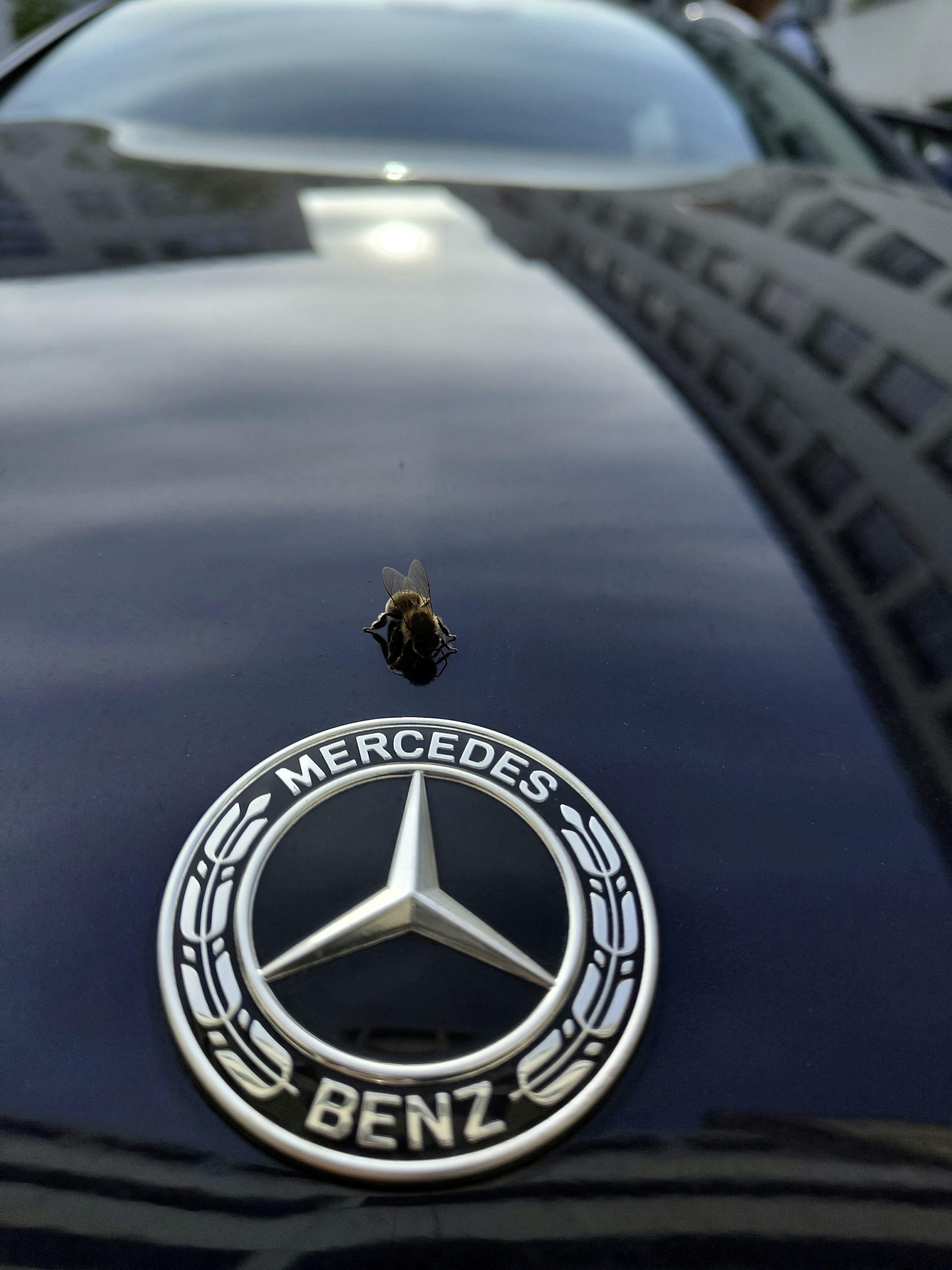 Tim Junker (@fusselbirne) | Unsplash Photo Community