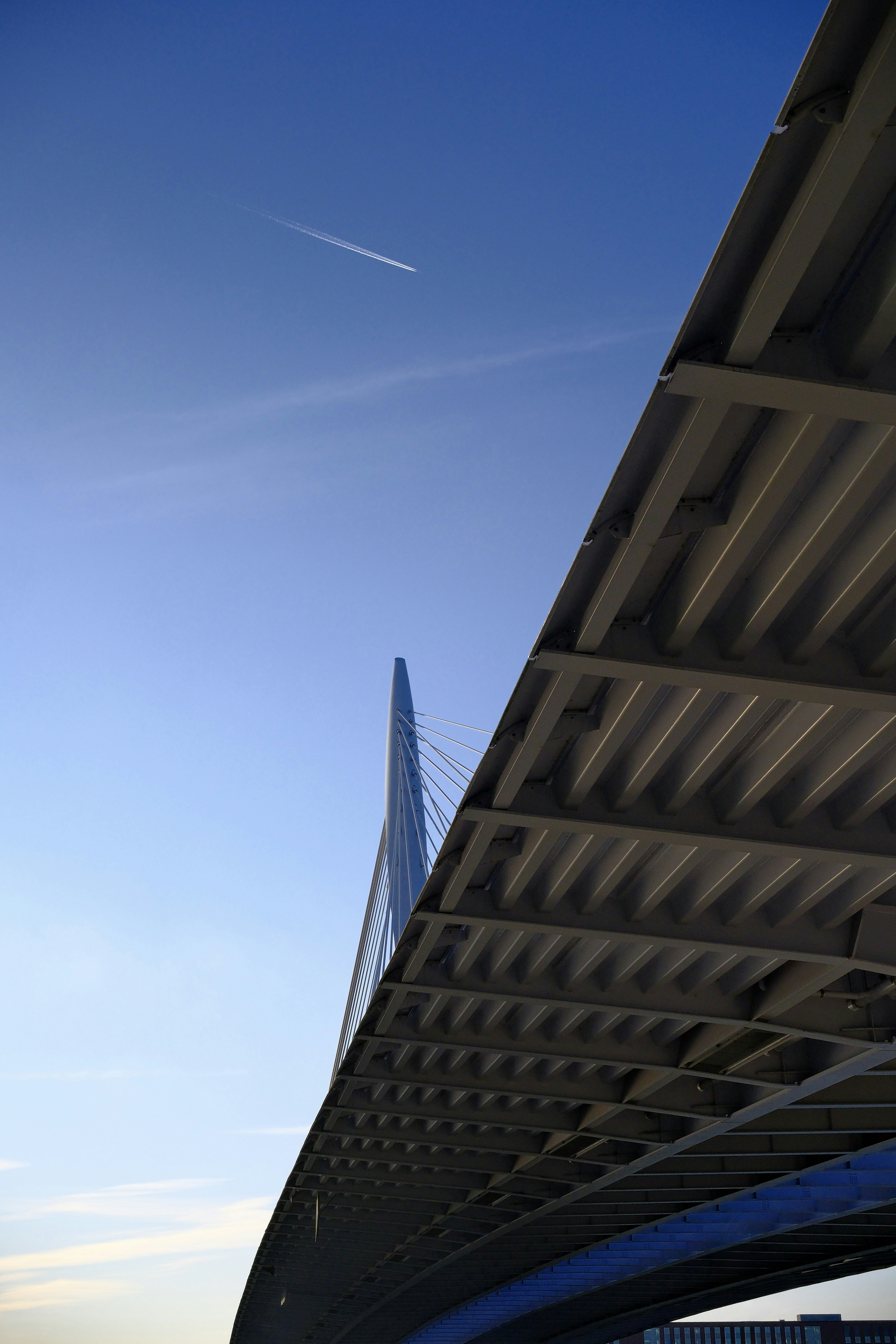 Bridge Edge: A Modern Span Aligns with the Sky