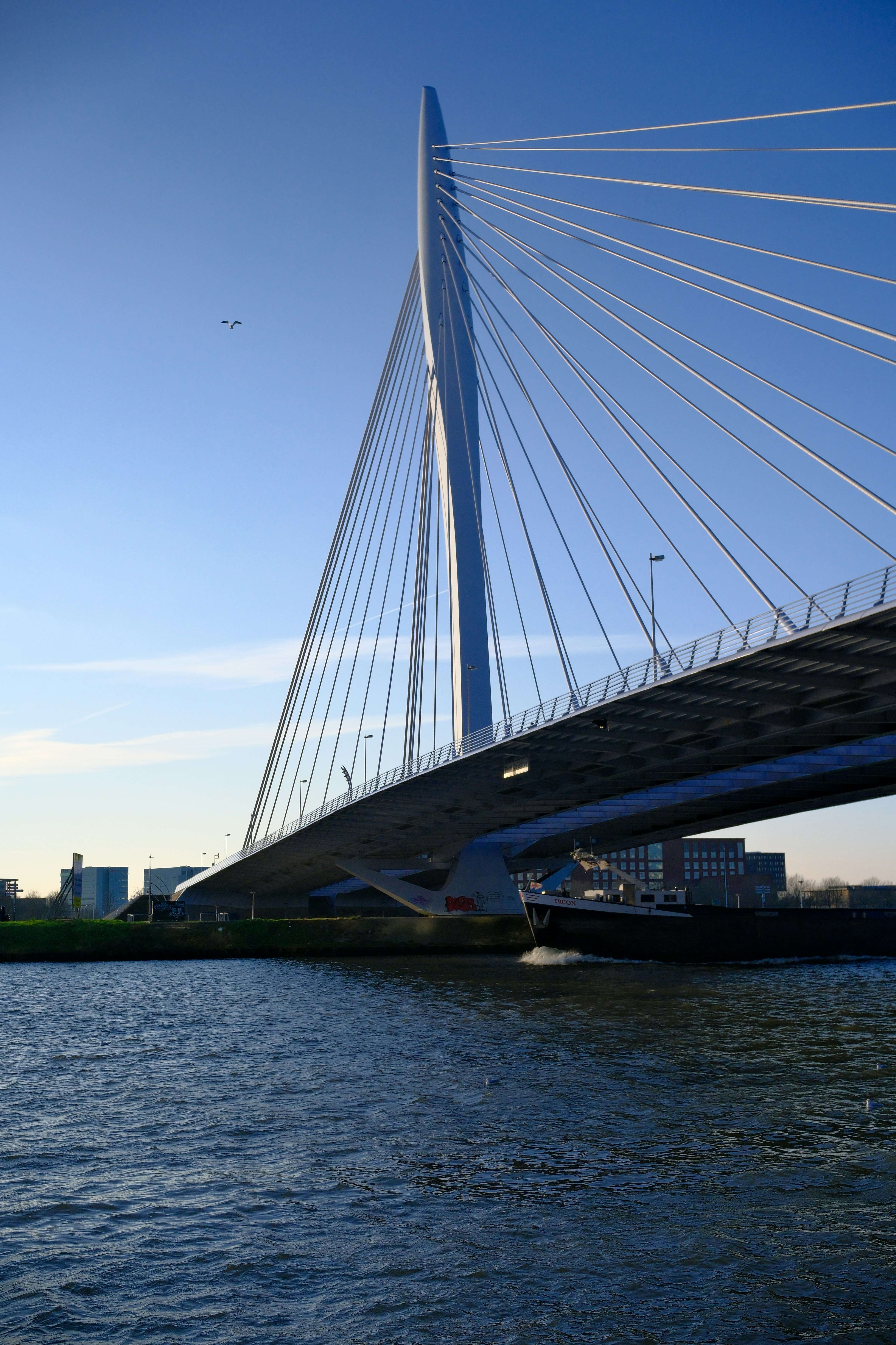 Sky-Bridge Reverie: A Cable-Stayed Moment Above the Thames