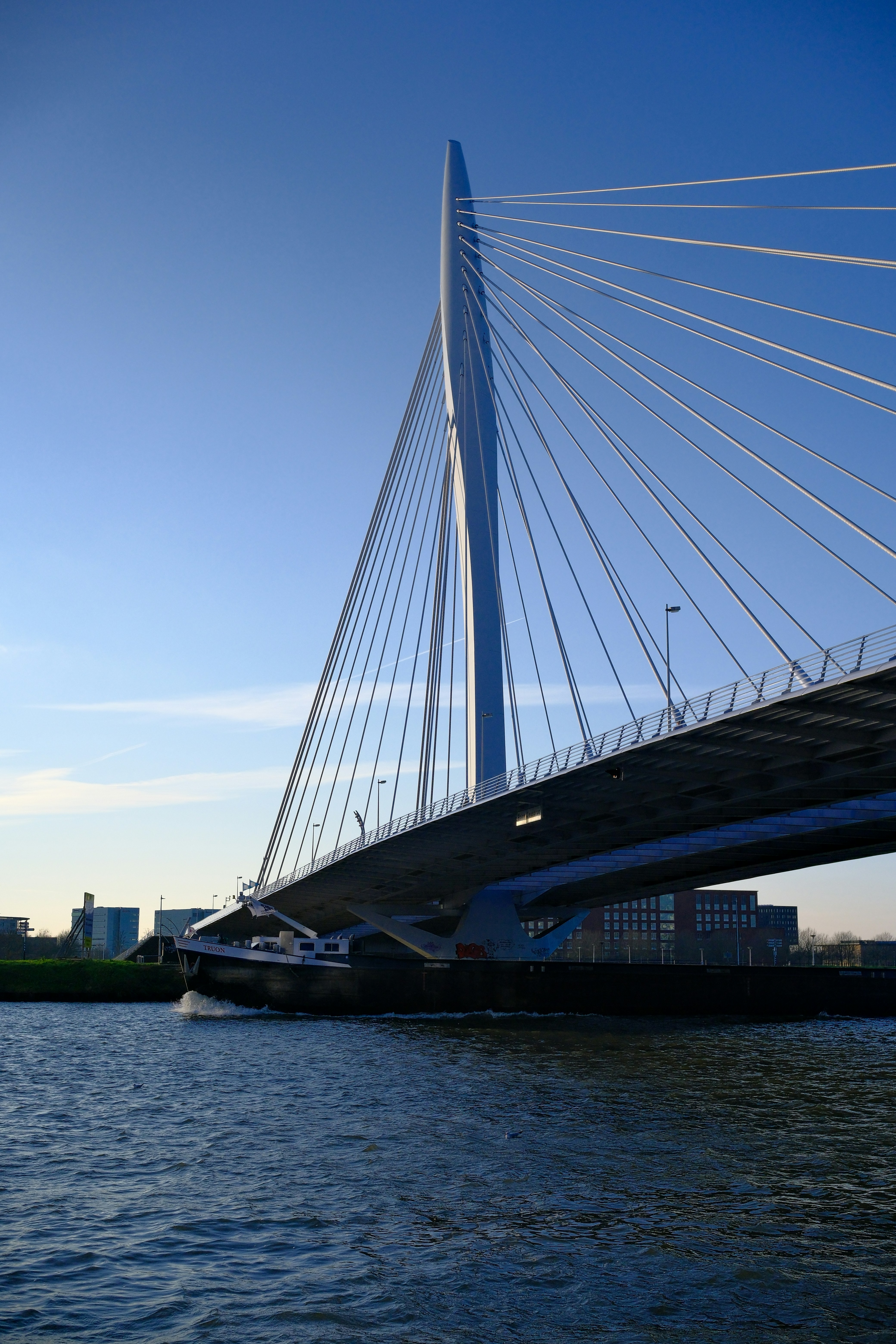 Blue Cable-Stayed Sky: A City Bridge Reach Over Water