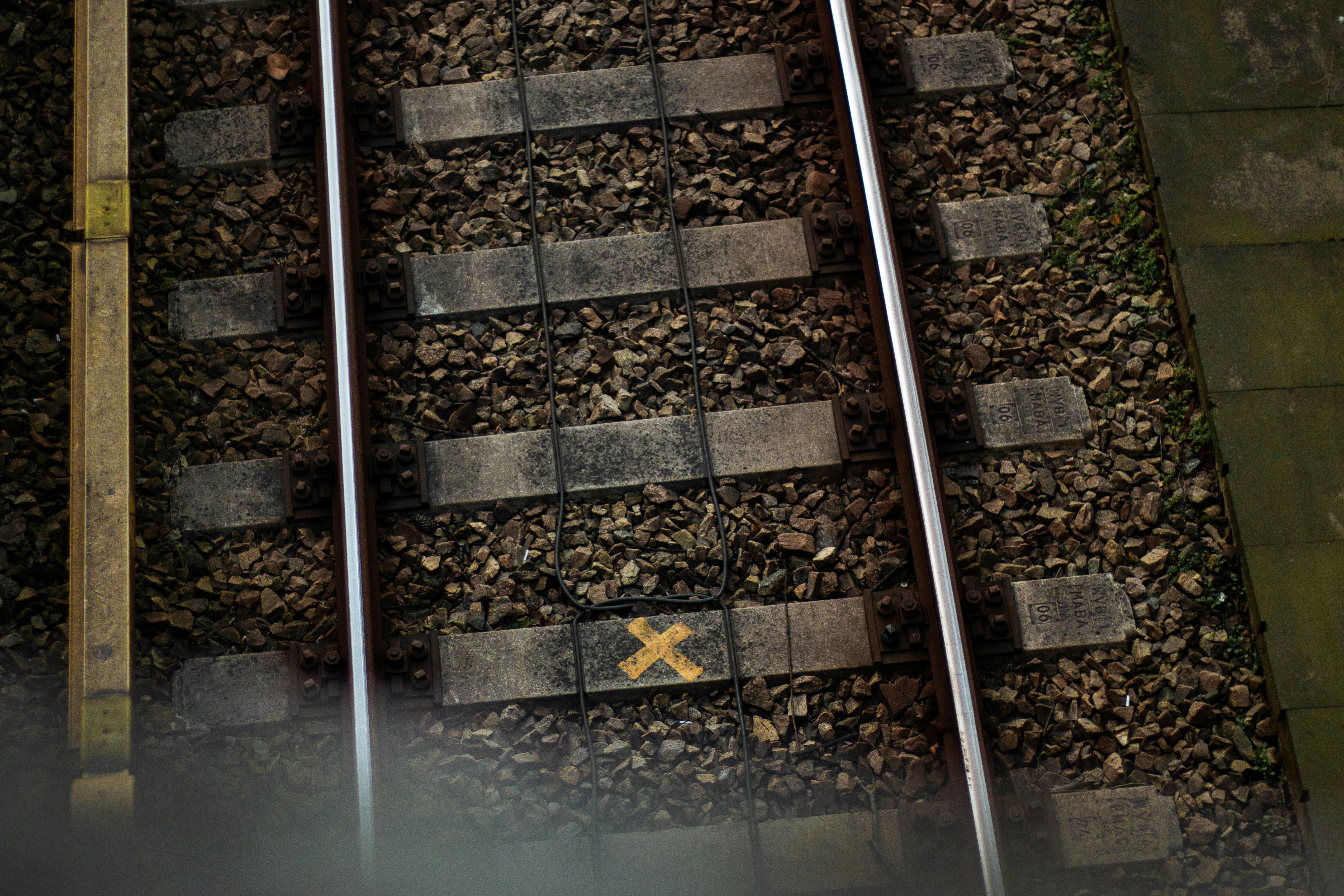 Photo by Silas Lundquist with Canon EOS 70D