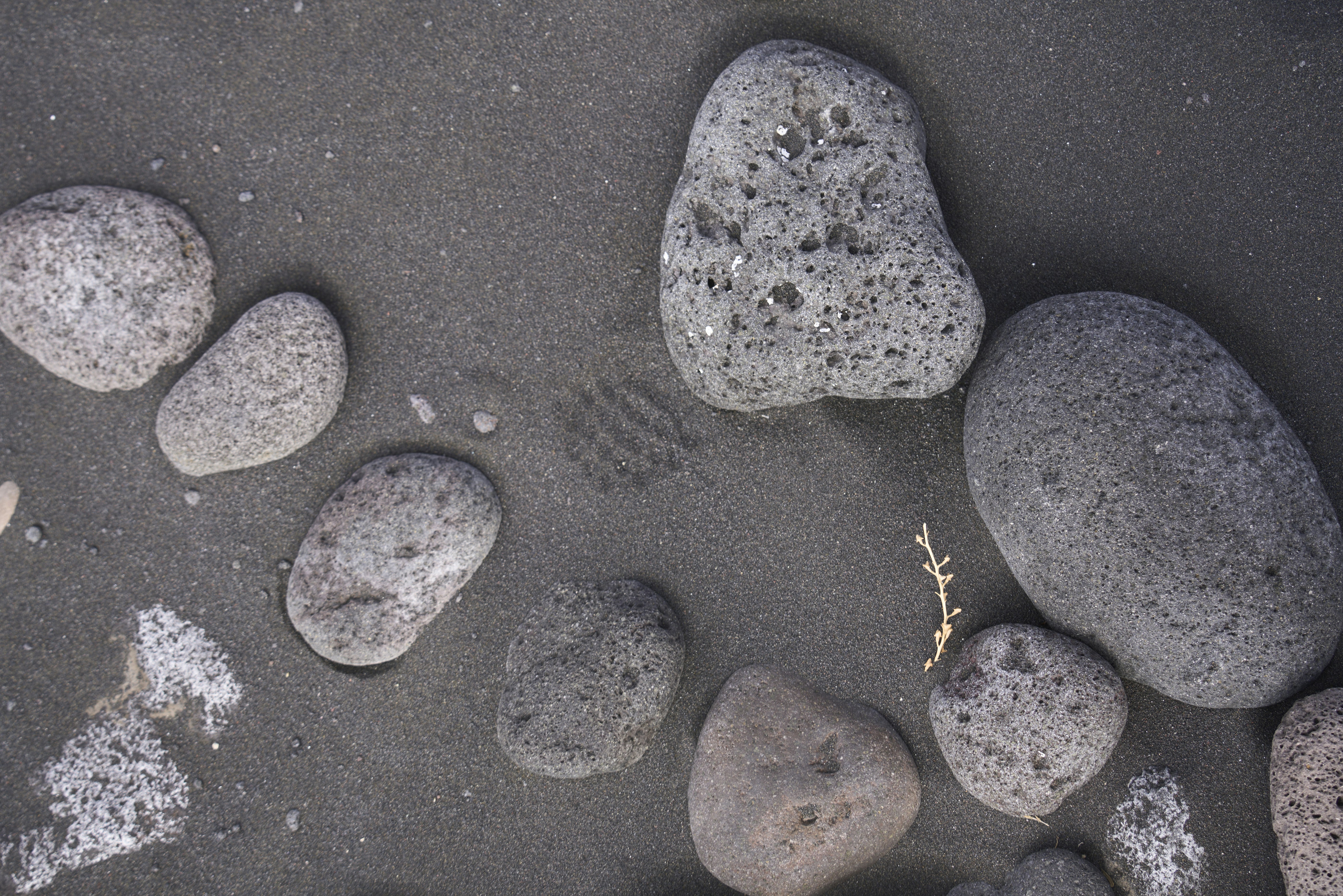 Pebble Mosaic on Wet Shoreline