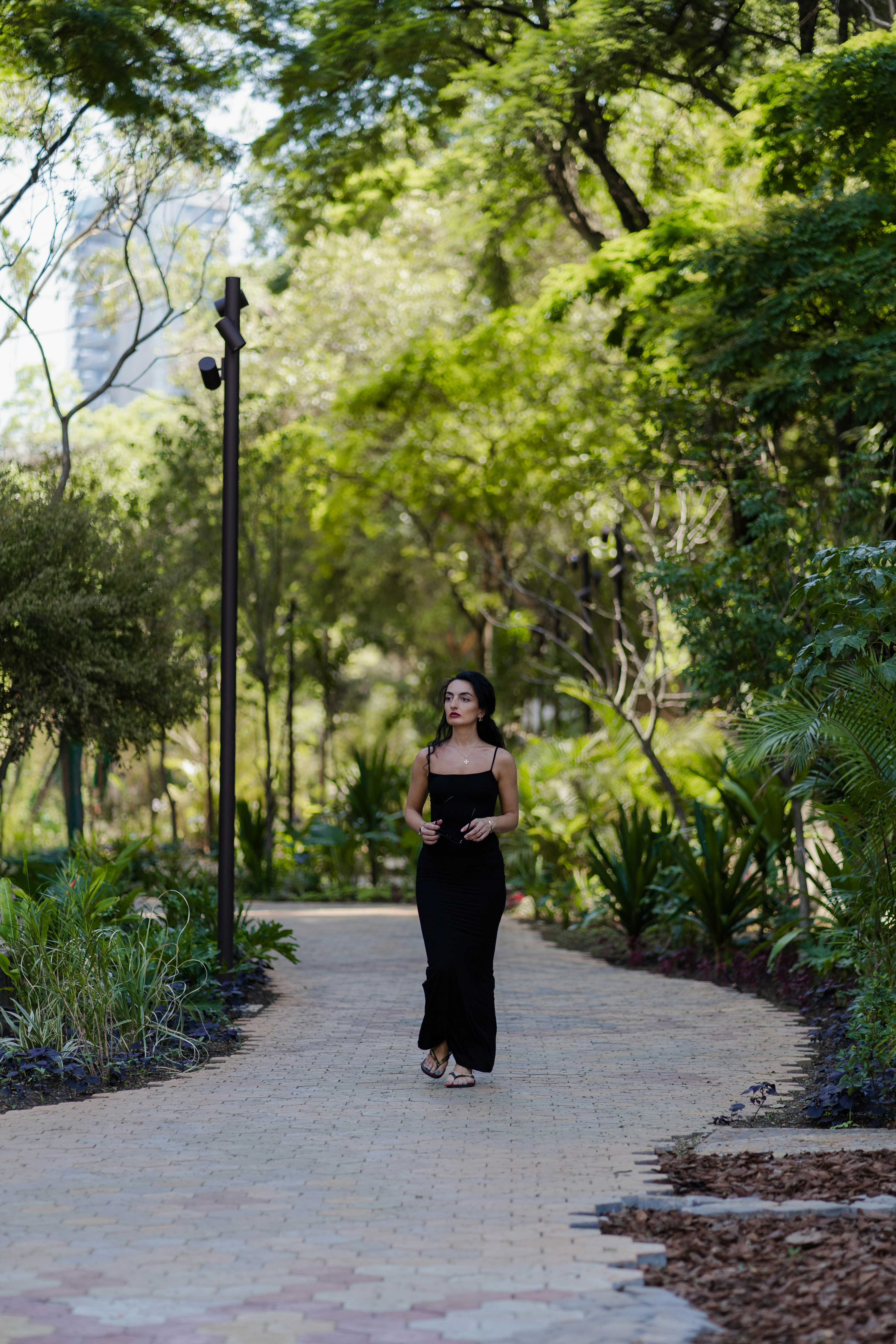 Quiet Walk Through a Green Cathedral
