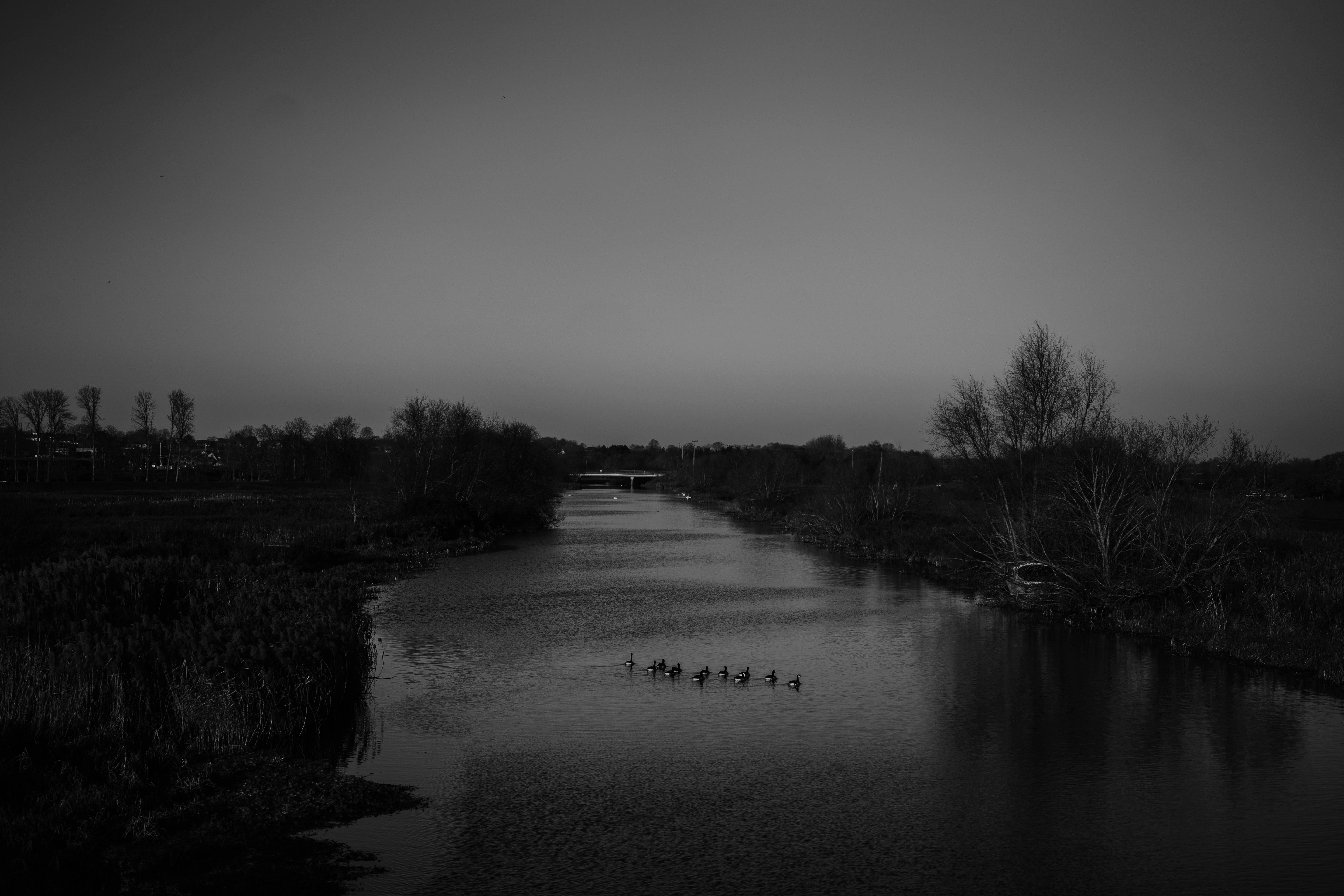 Dawn over the River: A Quiet Convergence
