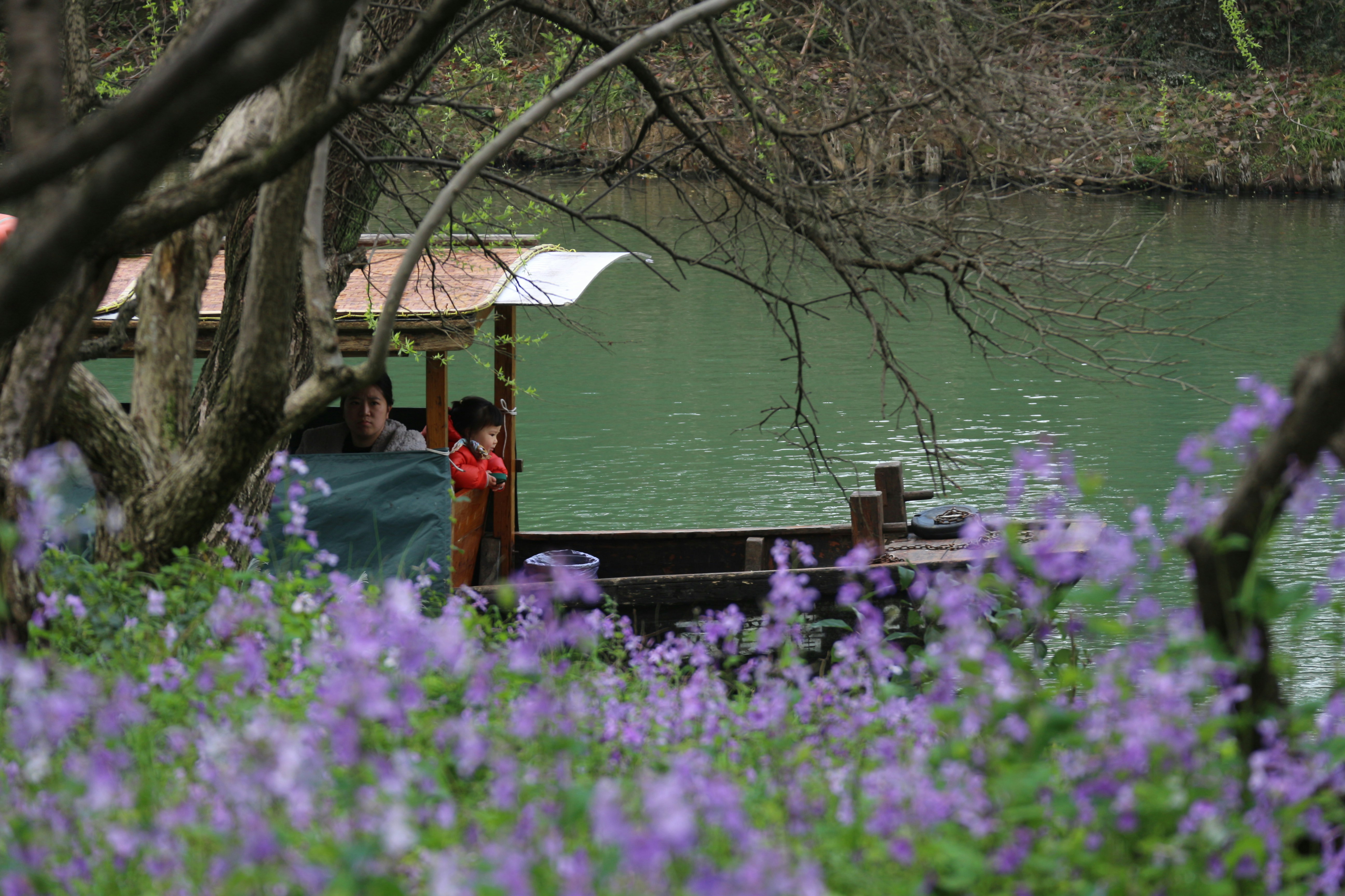 Quiet Boat Amid Lavender Ripples on the Lake