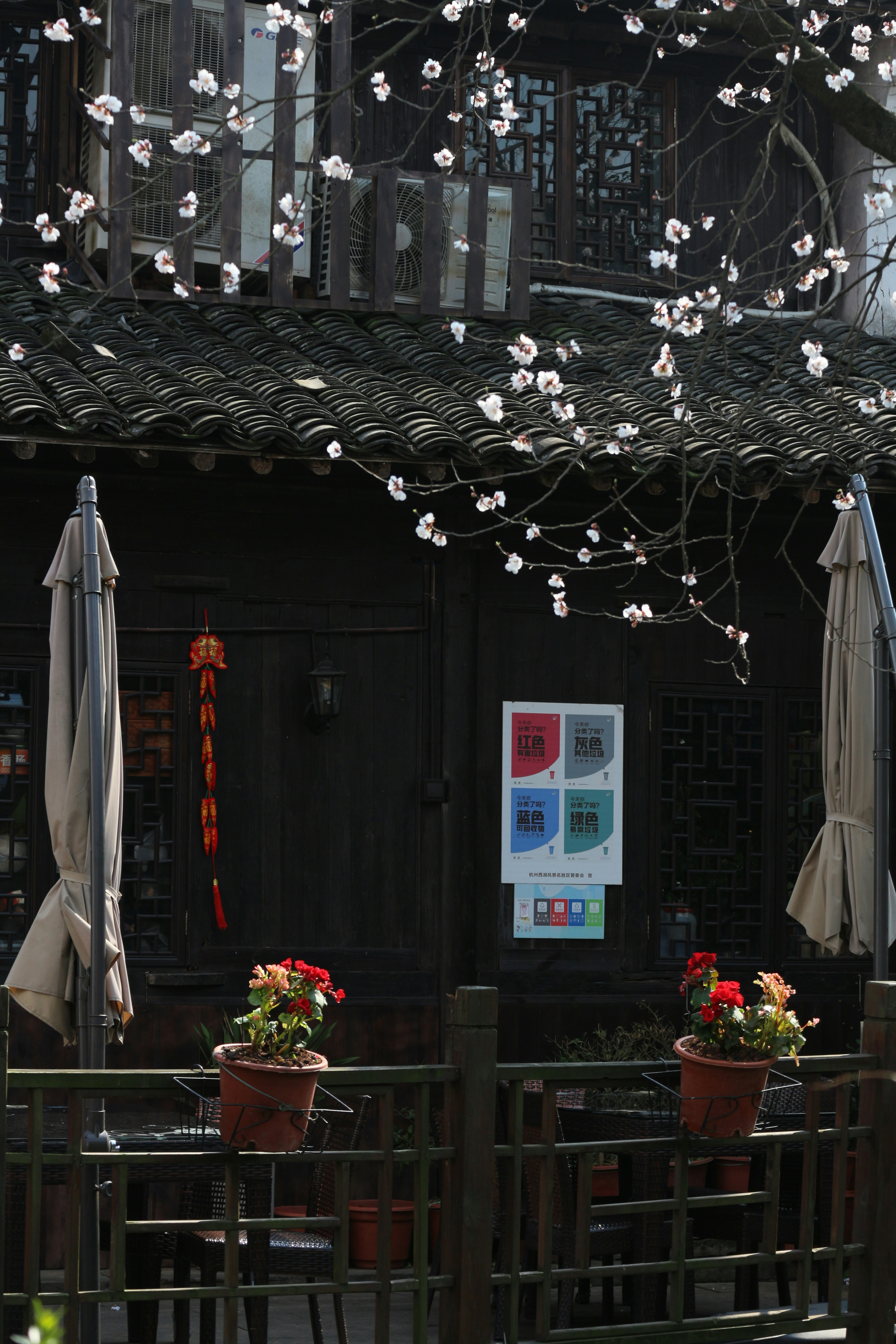 Blossoms over a Quiet Courtyard veranda