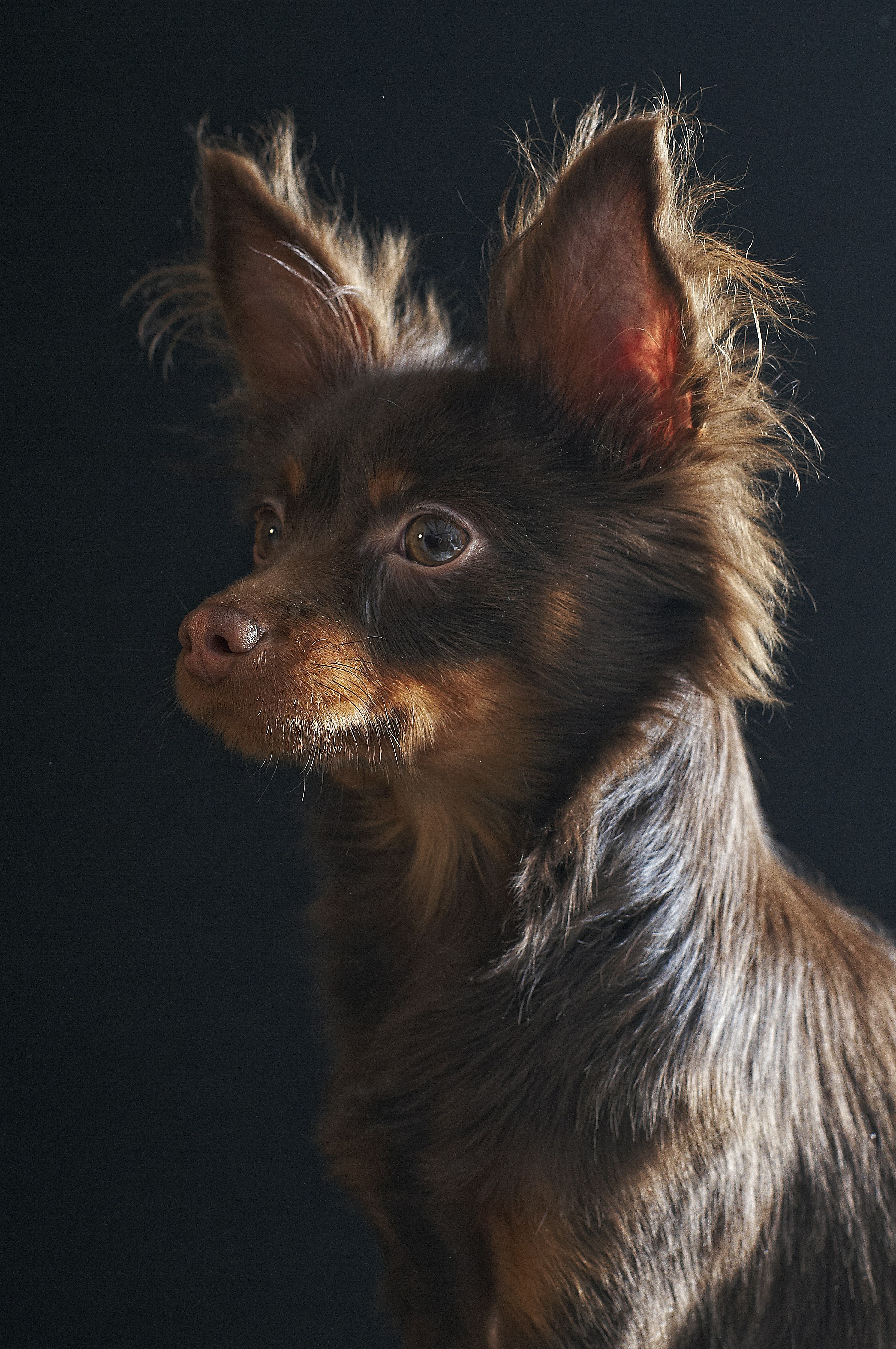 Photo by Morgan Marinoni with Nikon D300