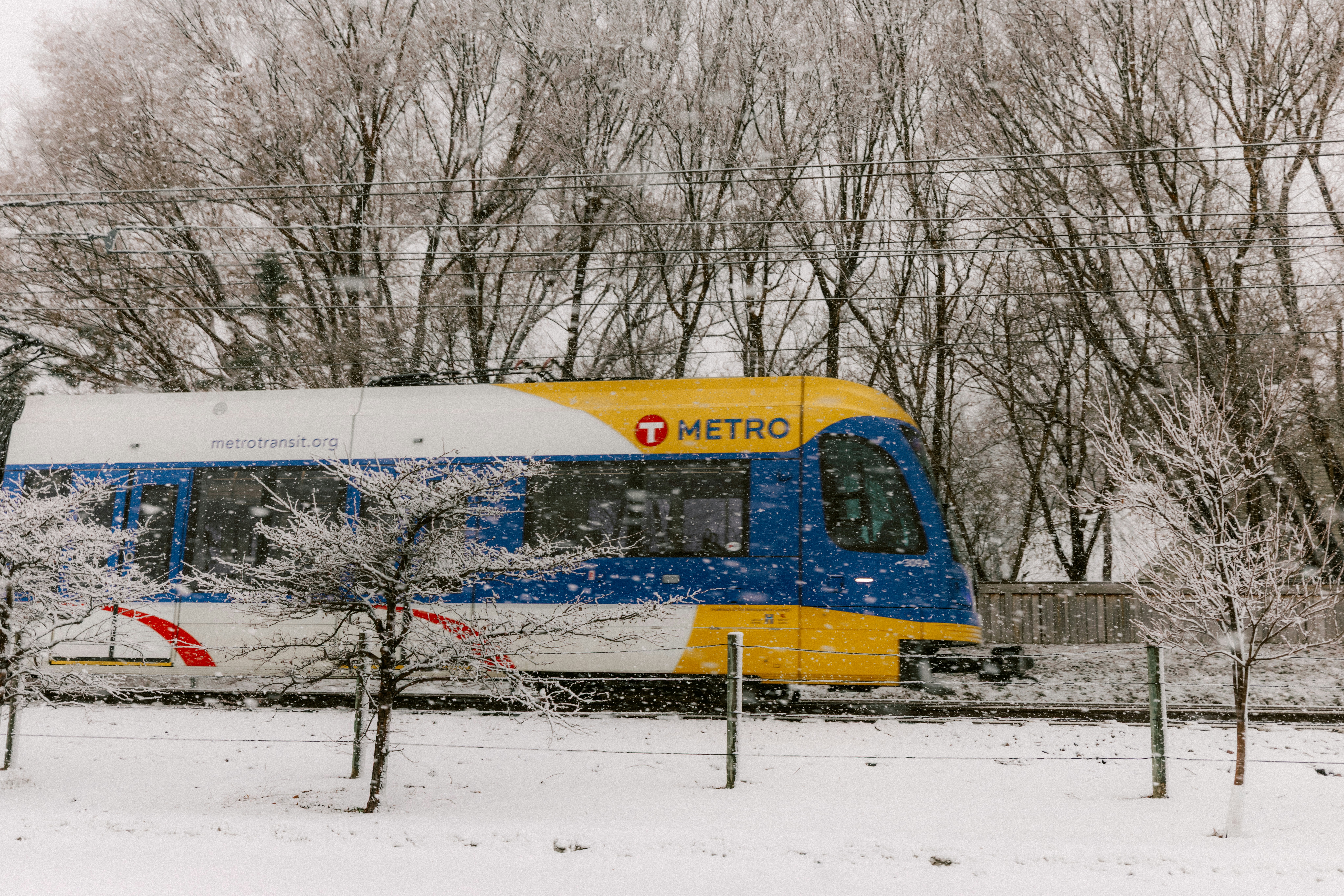 Winter Metro in a Snowy Brush: A T Metro Train Resting Along Frosted Rail