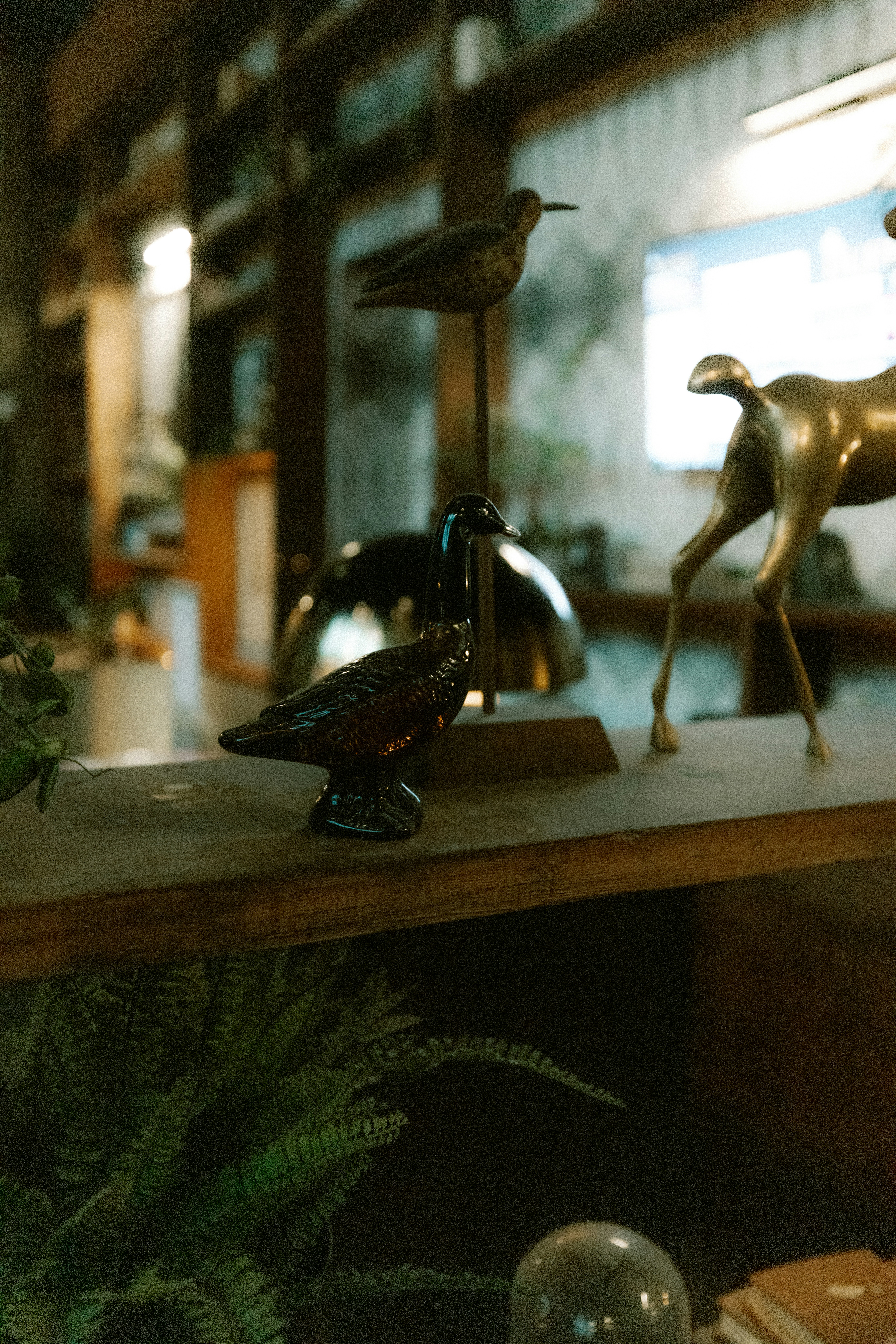 Dimly Lit Display: Duck Figurines on a Wooden Shelf