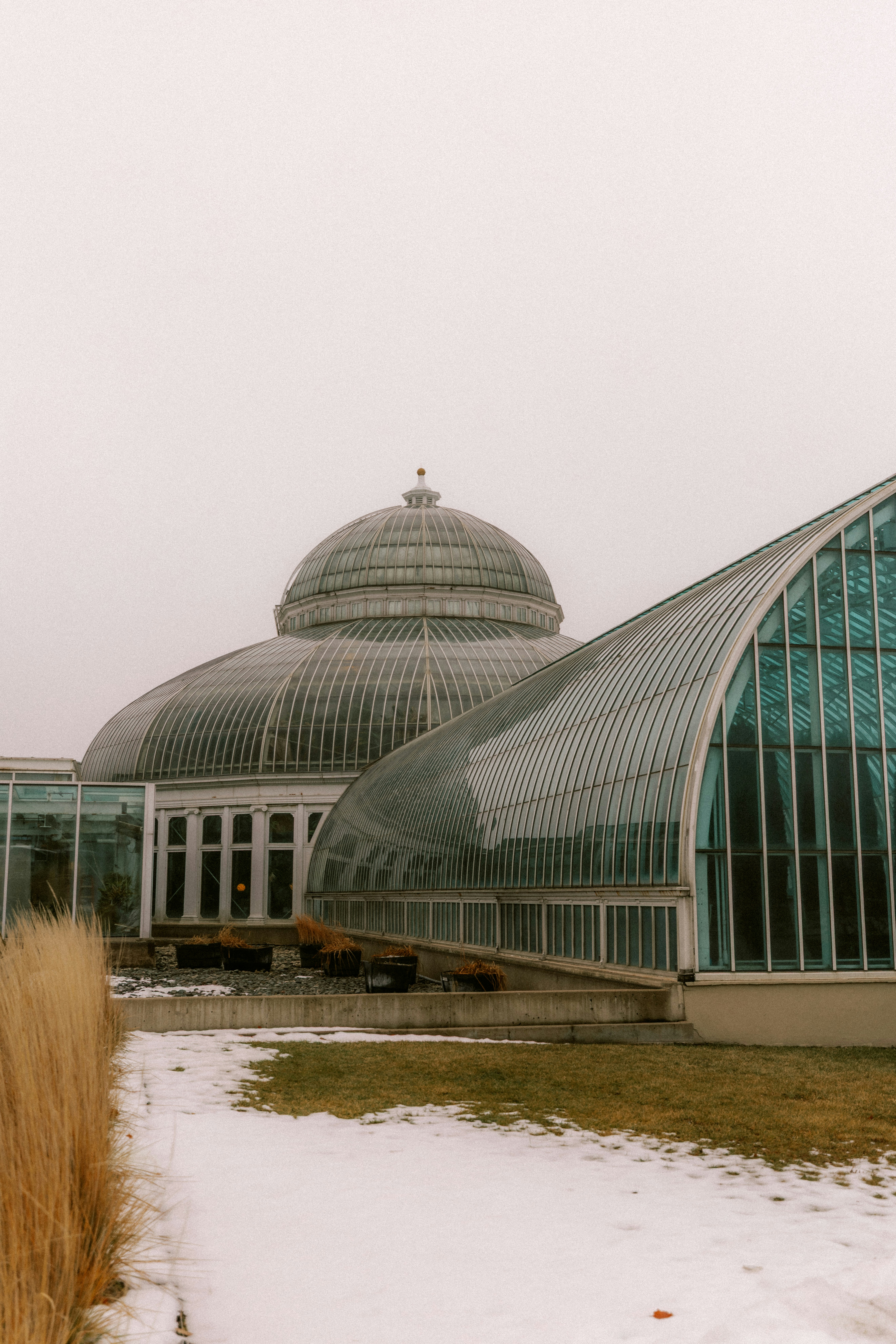 Glasshouse Convergence: Dome and Curved Conservatory