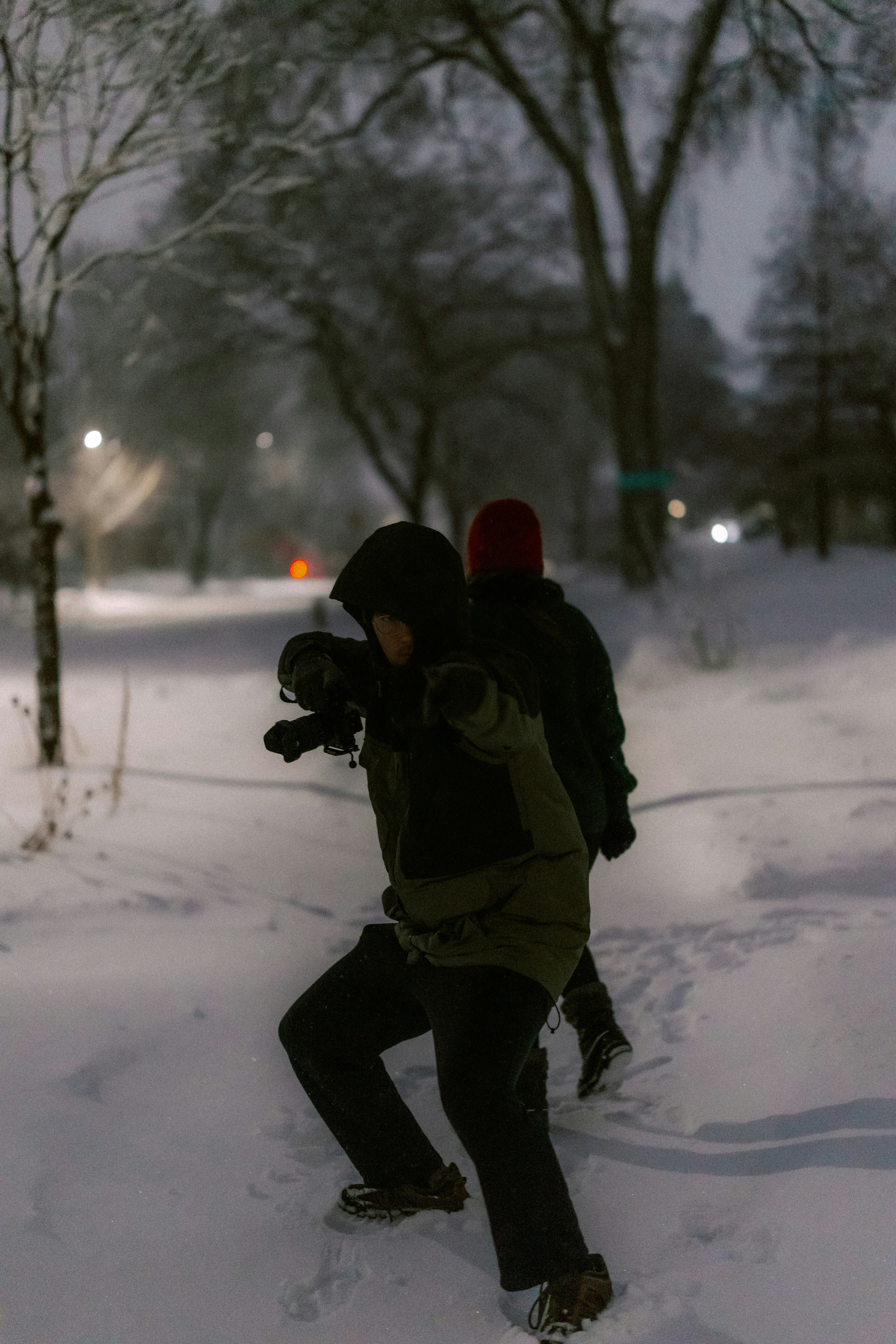 Two Icebound Explorers in a Snowy Evening
