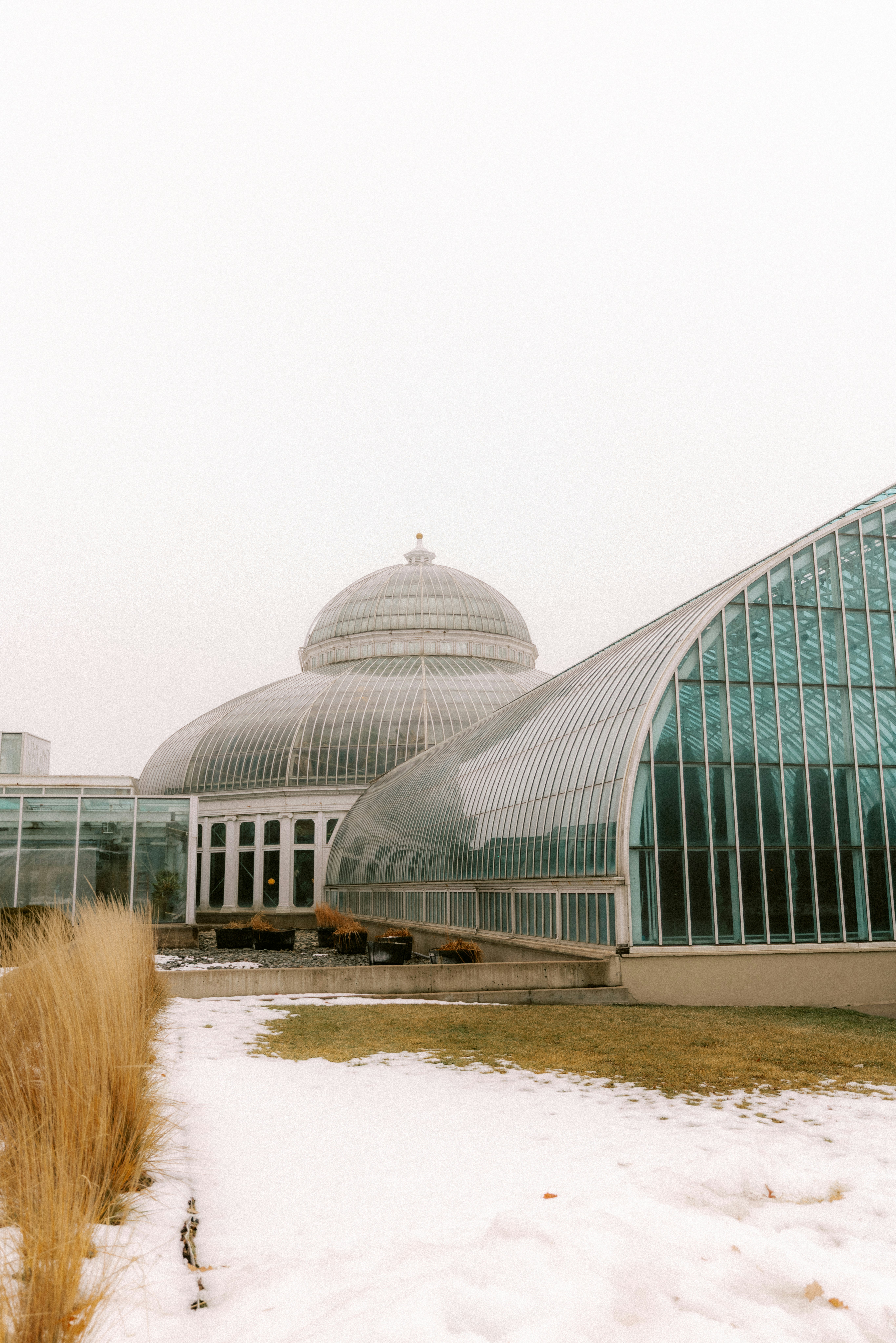 Glass Conservatory Under Soft Winter Light