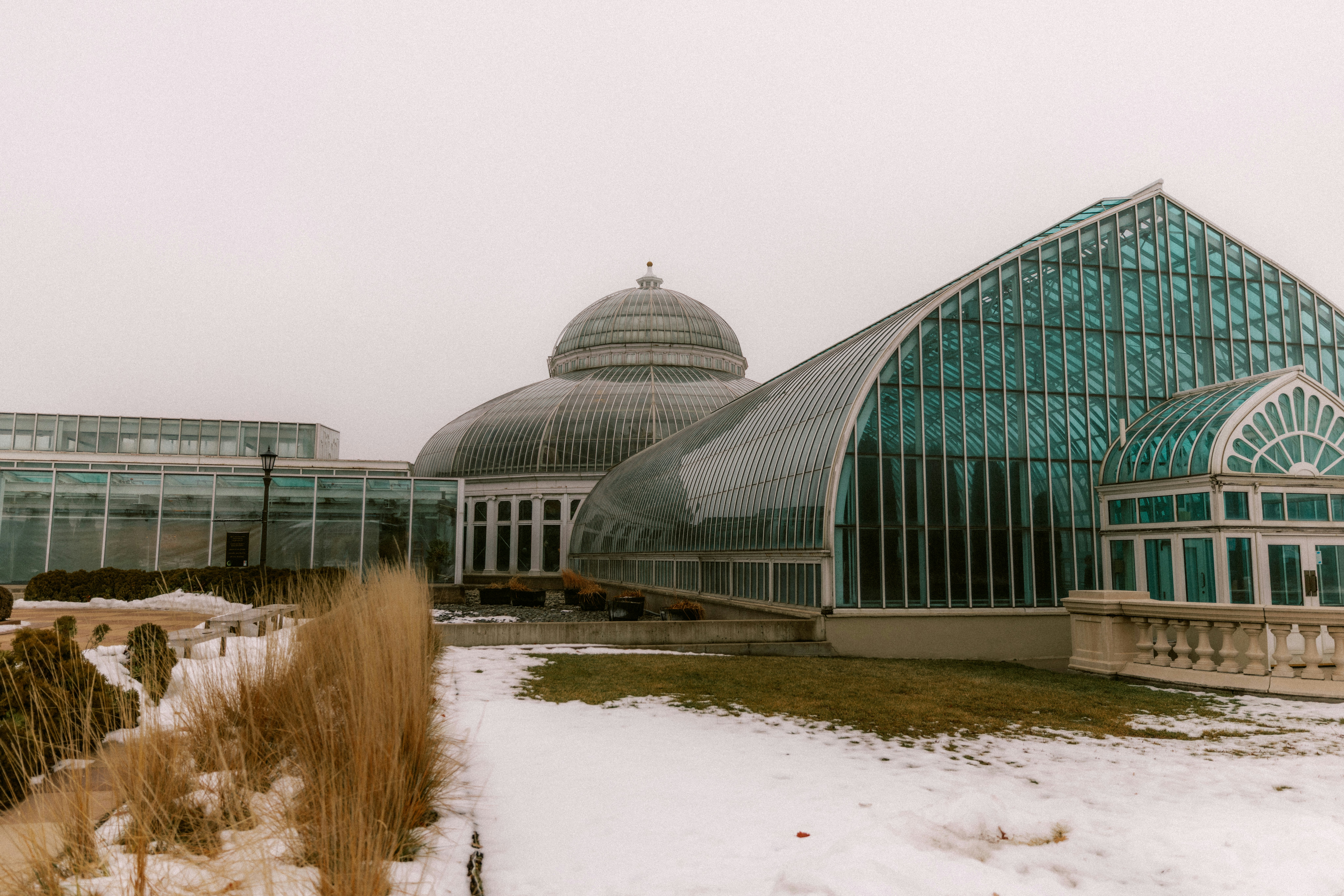 Conservatory in Winter Light