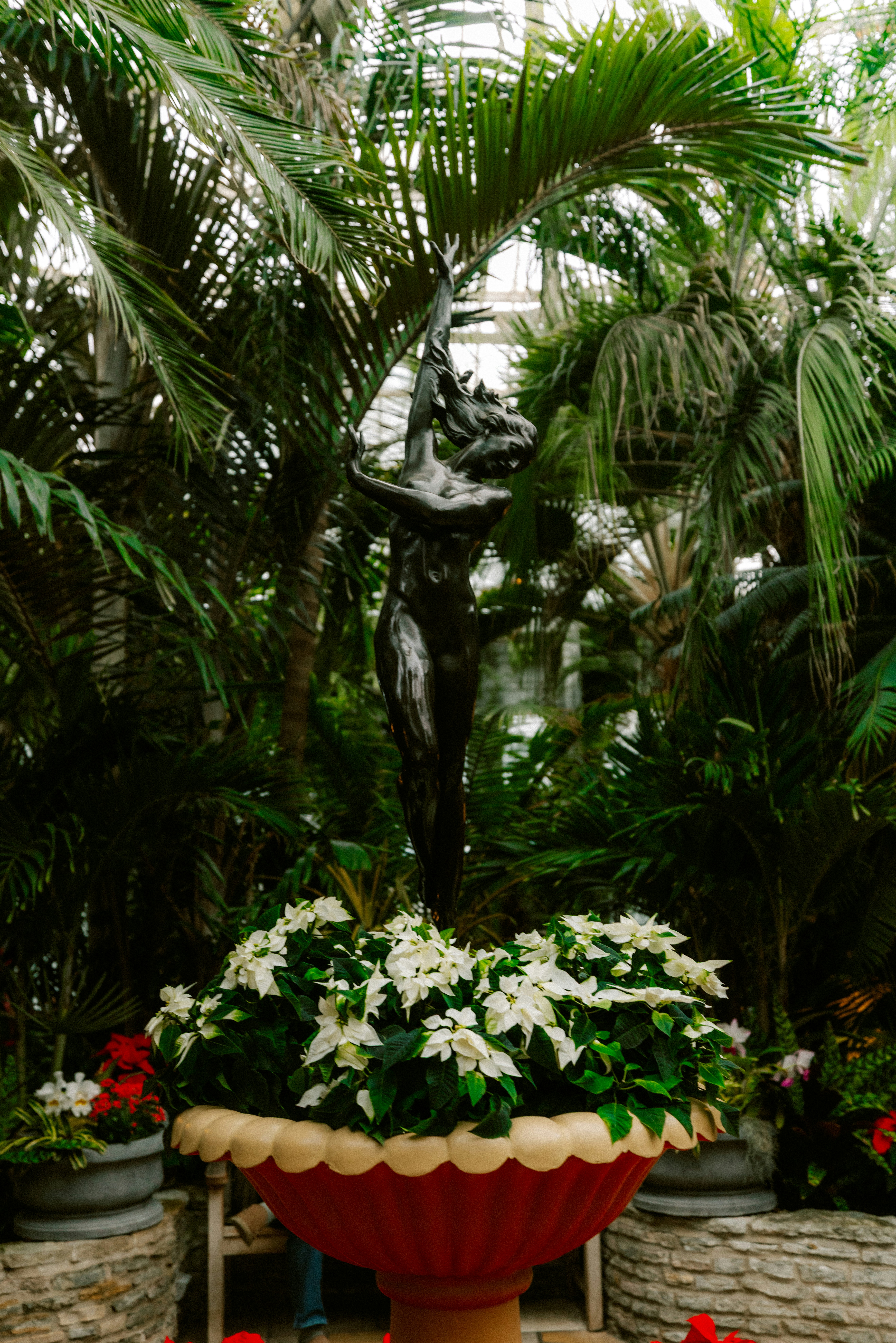 Bronze Statue Amid White Poinsettias in a Tropical Conservatory