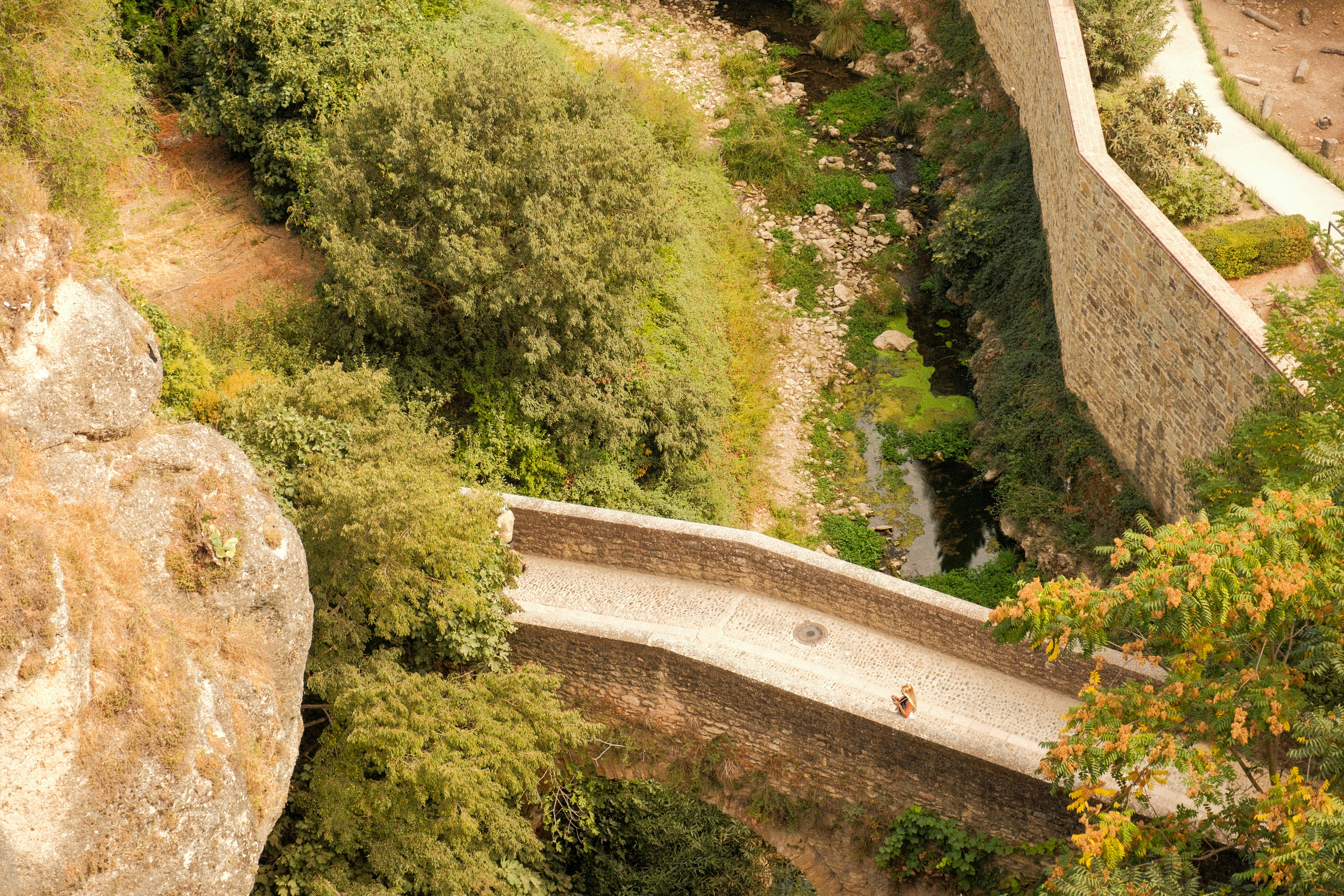 Above the Aerie: Aerial Walkway Framed by Stone and Foliage