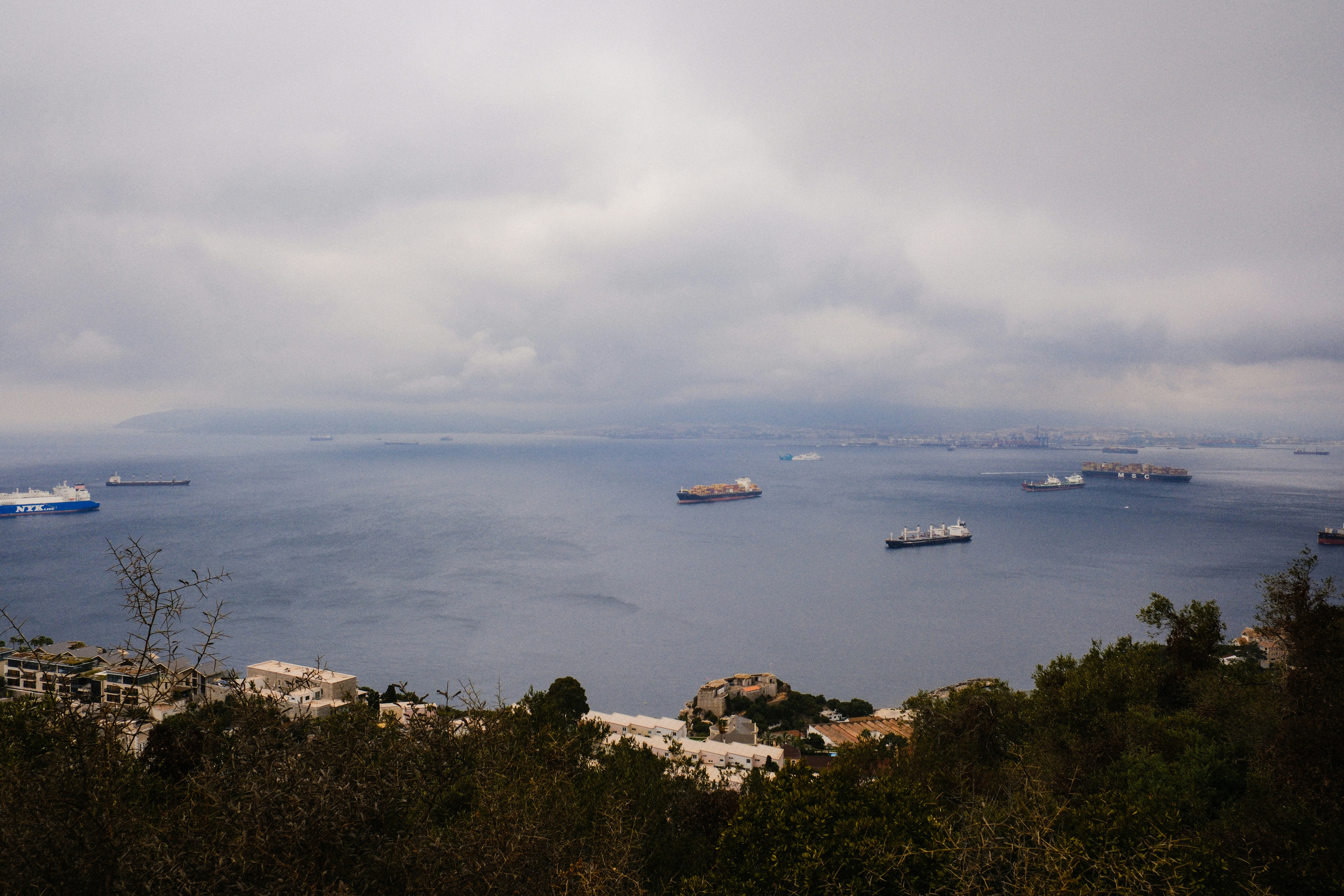 Harbor in the Mist: Fleet of Quiet Giants on a Hazy Horizon