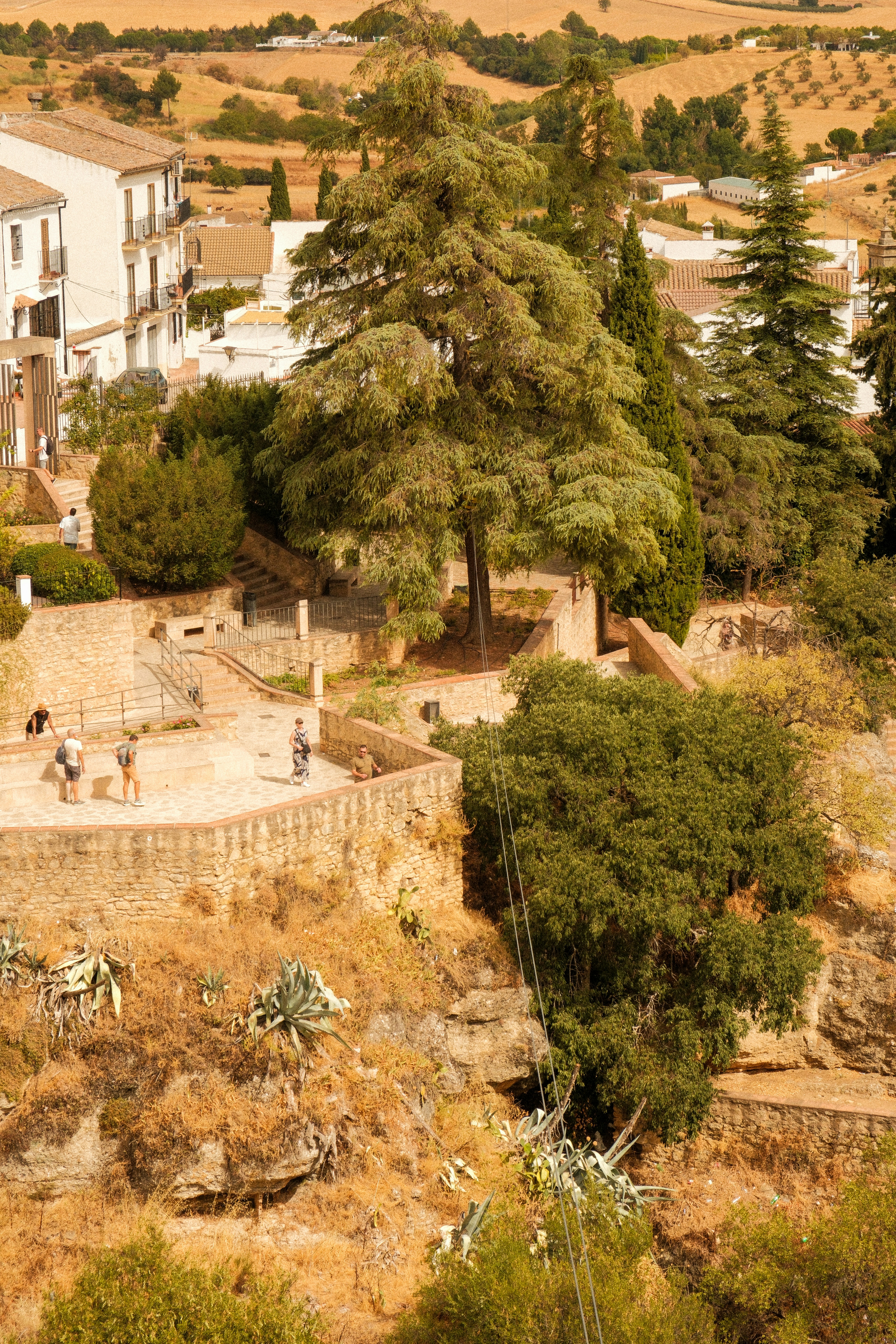 Terraced Village Overlook with Verdant Foliage and Cliffside Walk