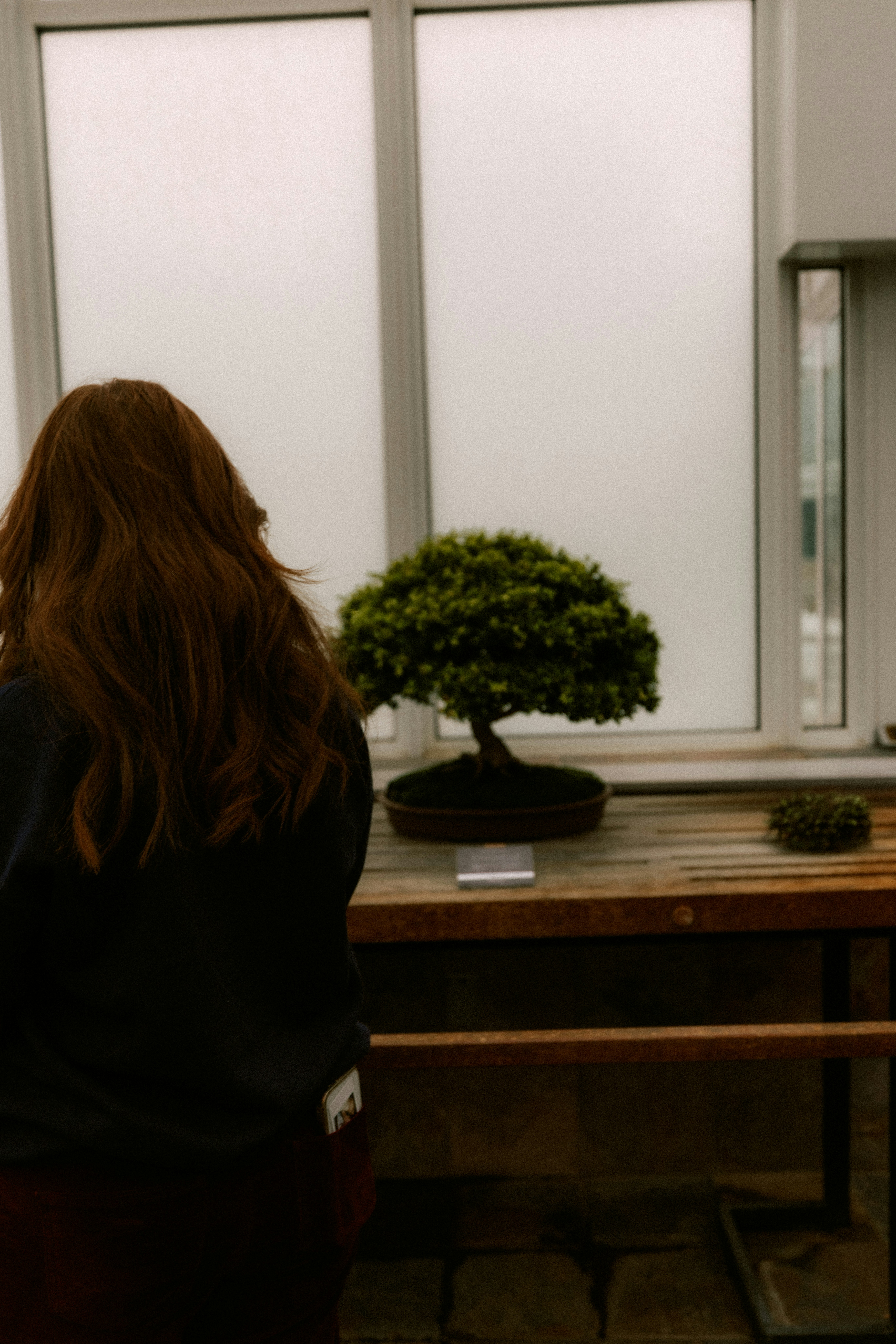 Silent Portrait: A Woman with Red Hair Beside a Bonsai on a Workshop Table