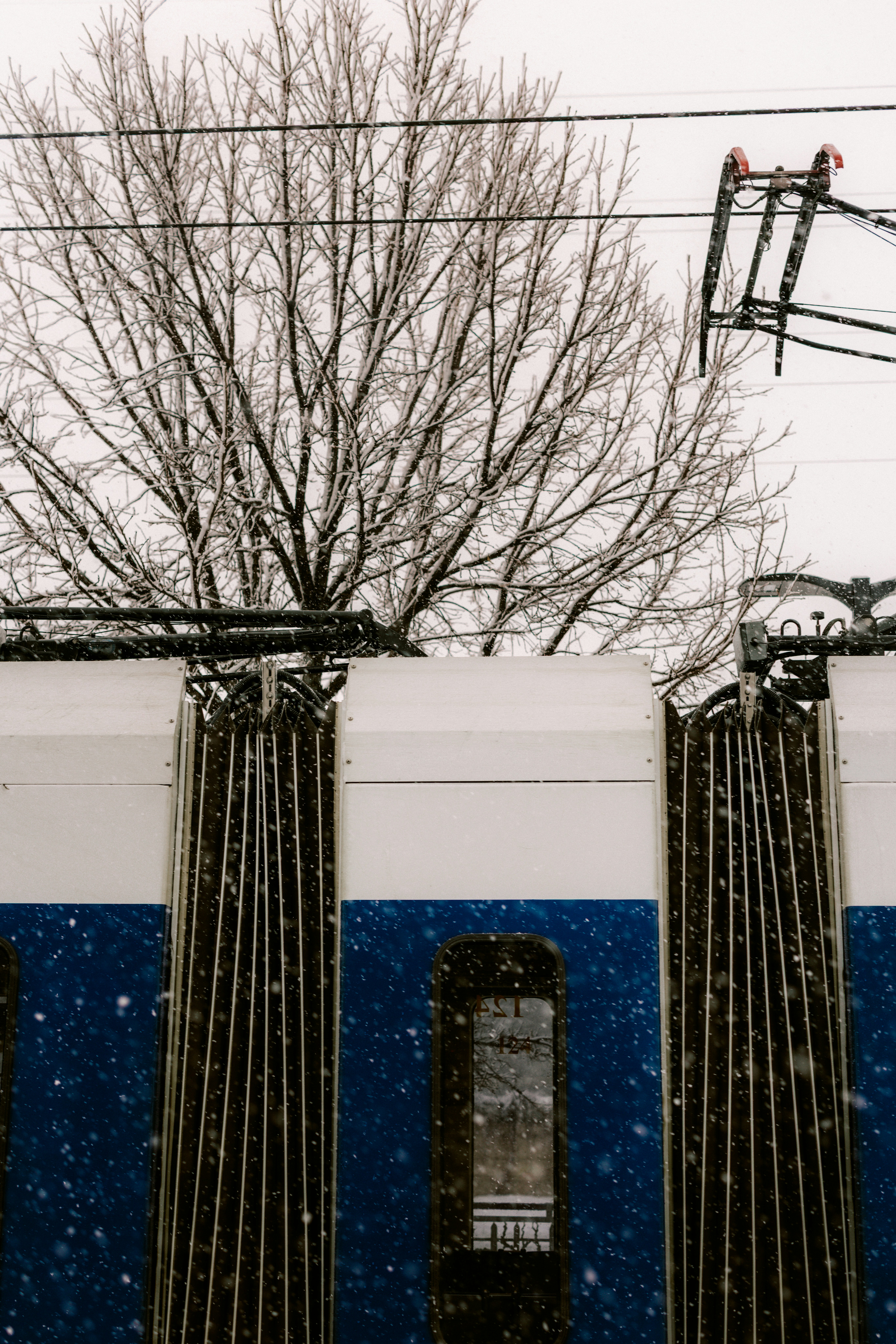 Snowfall over the Blue and White Transit Car