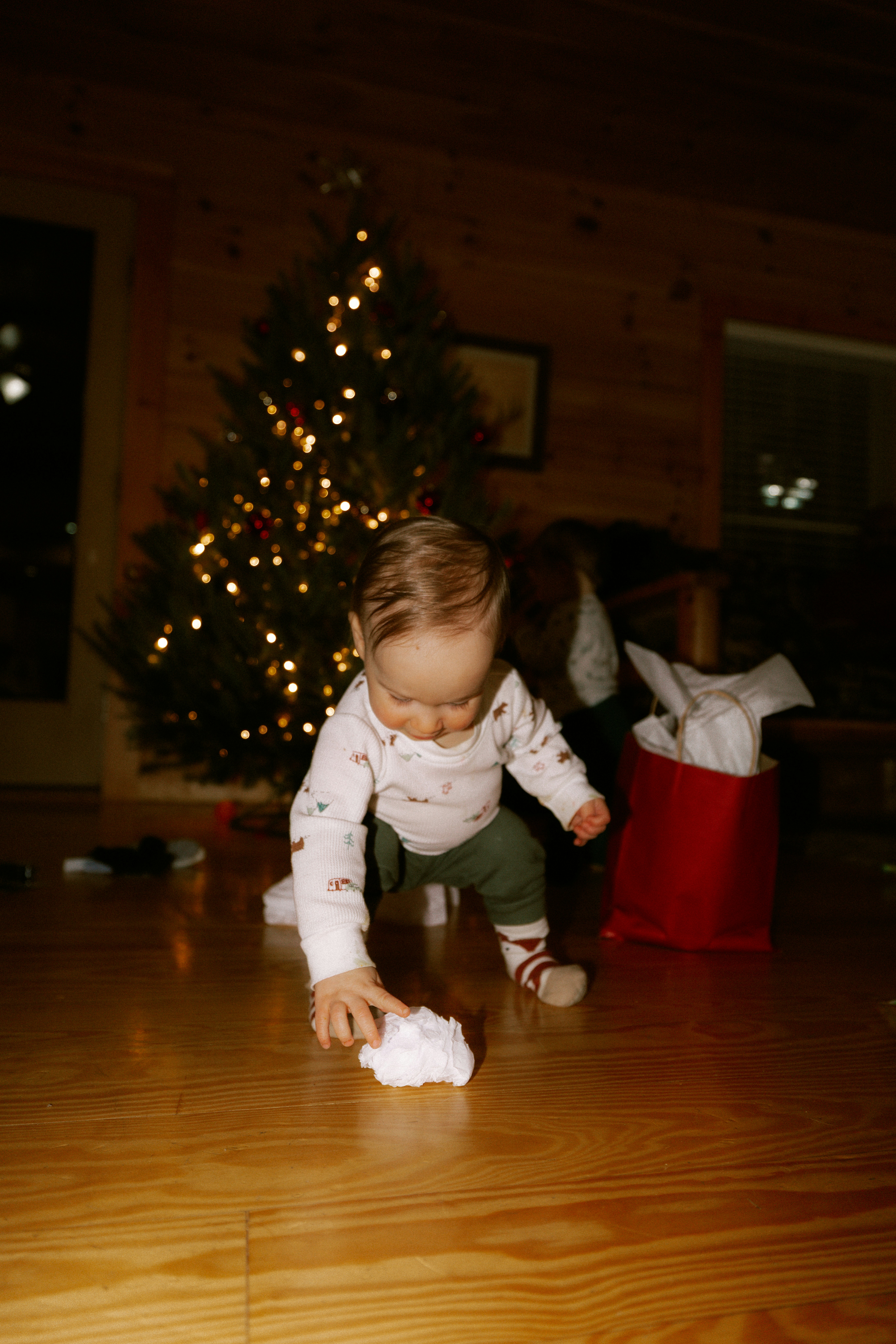Tiny Explorer on the Wooden Floor