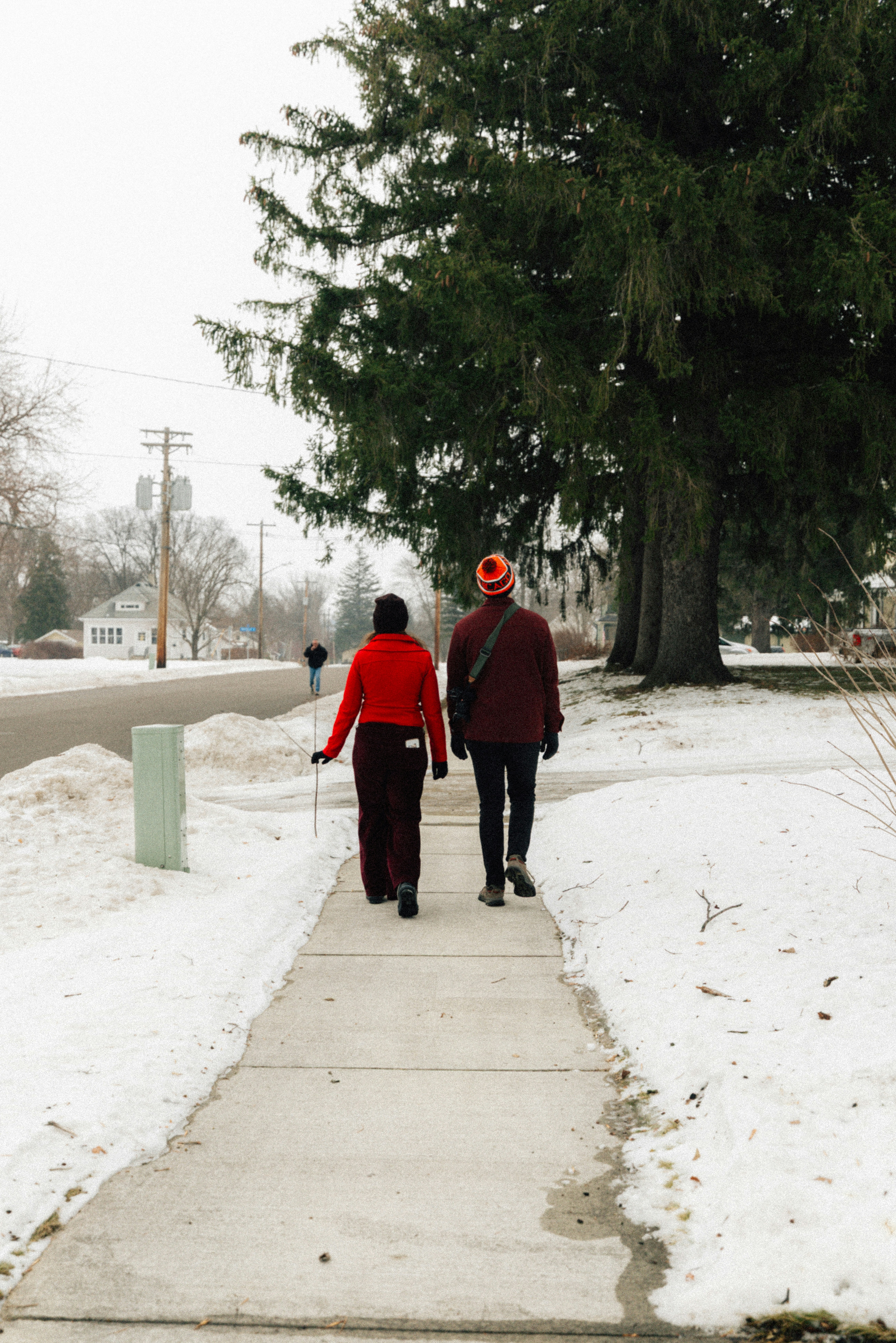 Snowy urban promenade: a pair strides forward beneath the pines