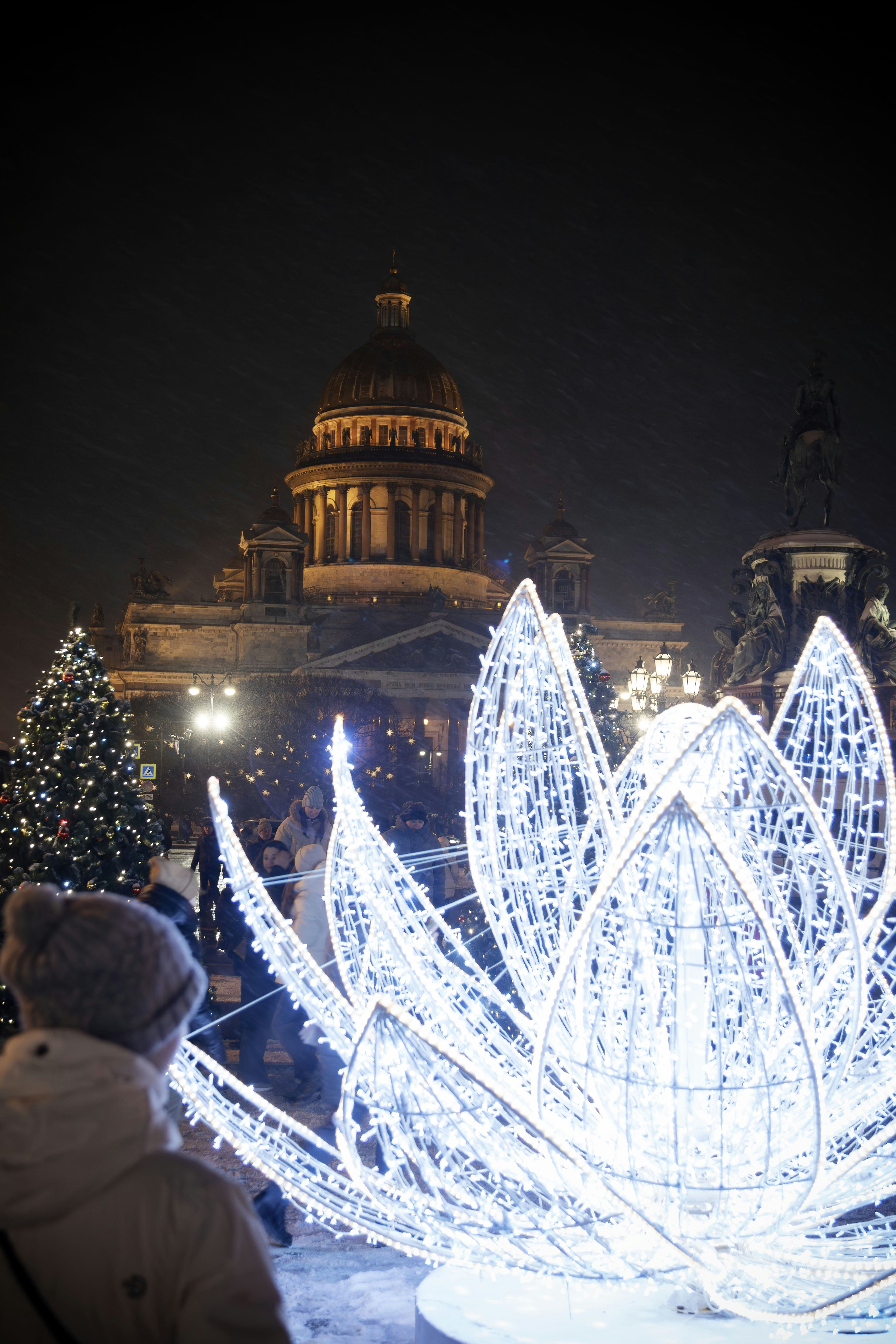Luminescent Lotus: A Winter Night by the City Dome