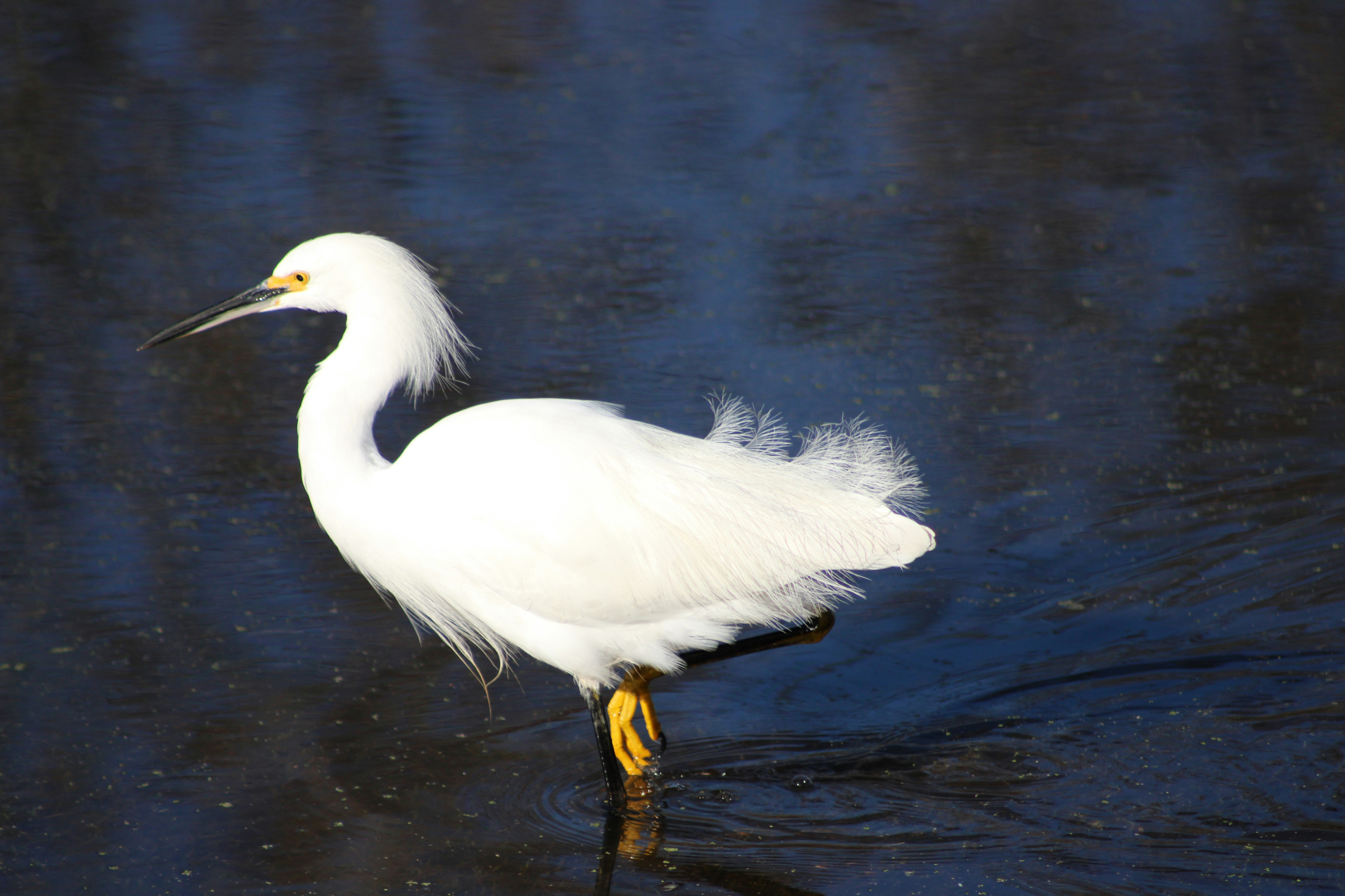 Photo by Bree S with Canon EOS 2000D