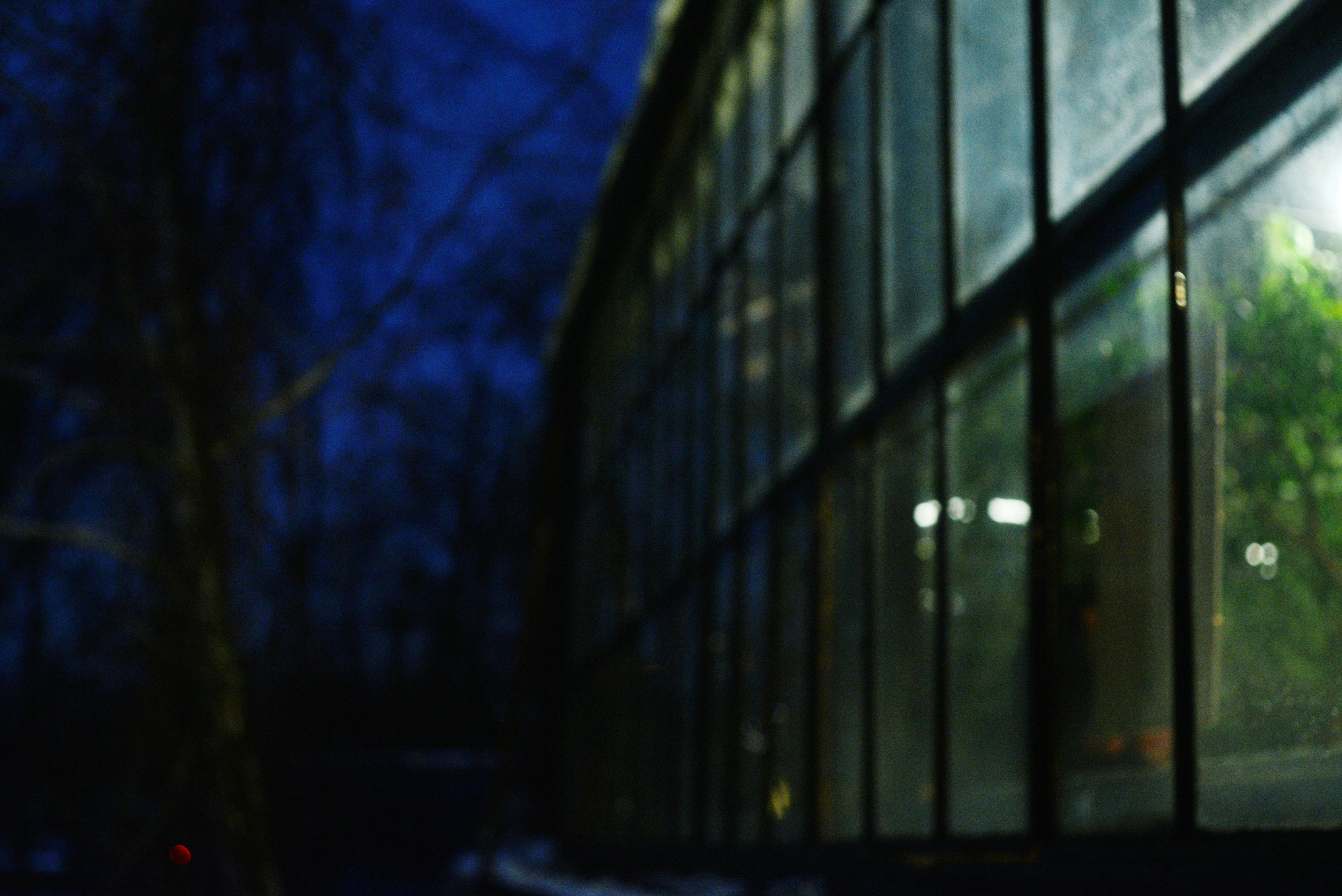 Glass Corridor at Dusk: Neon Reflections in a Quiet Night