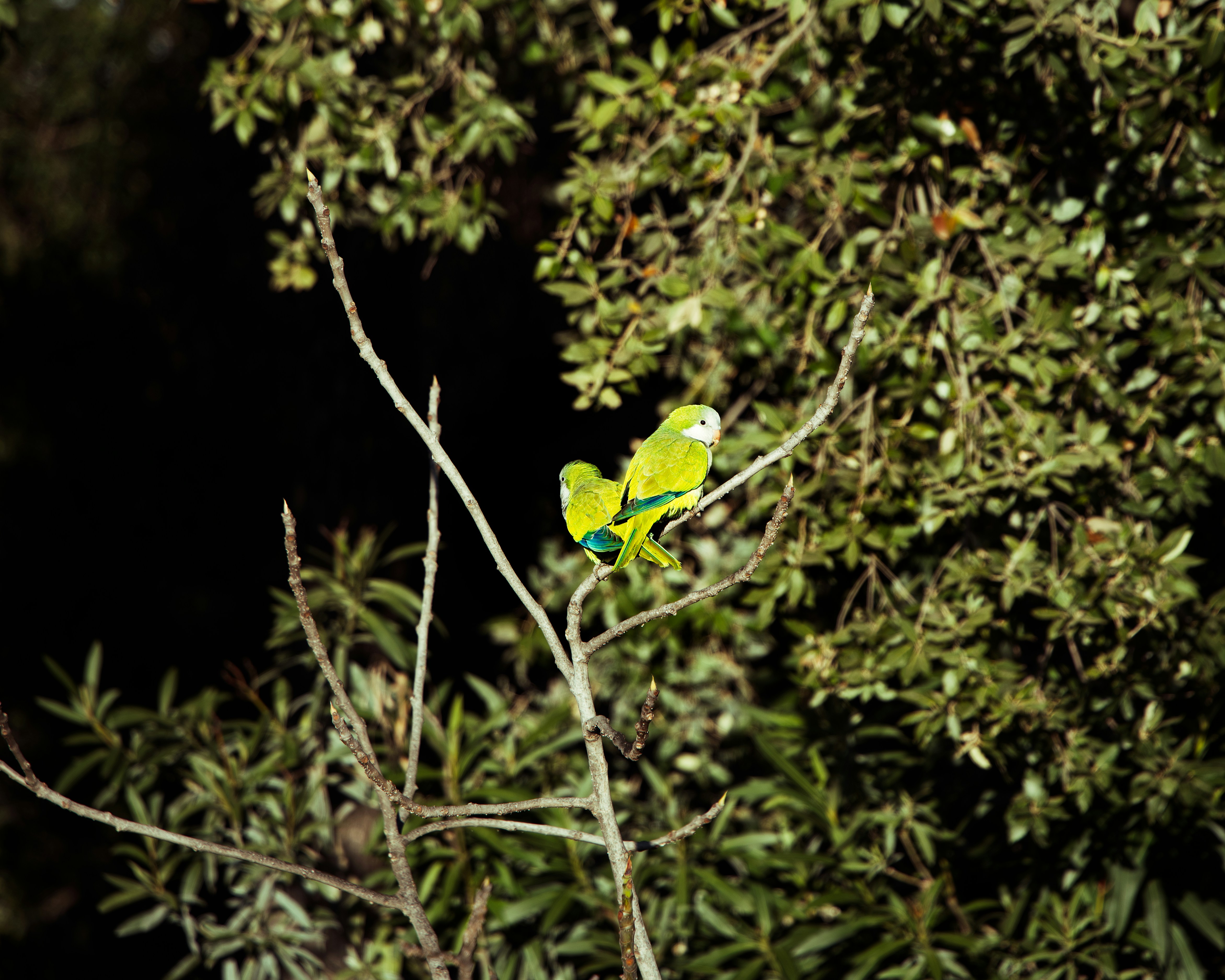 Photo by Stanisław Lul with Sony Alpha 7 IV