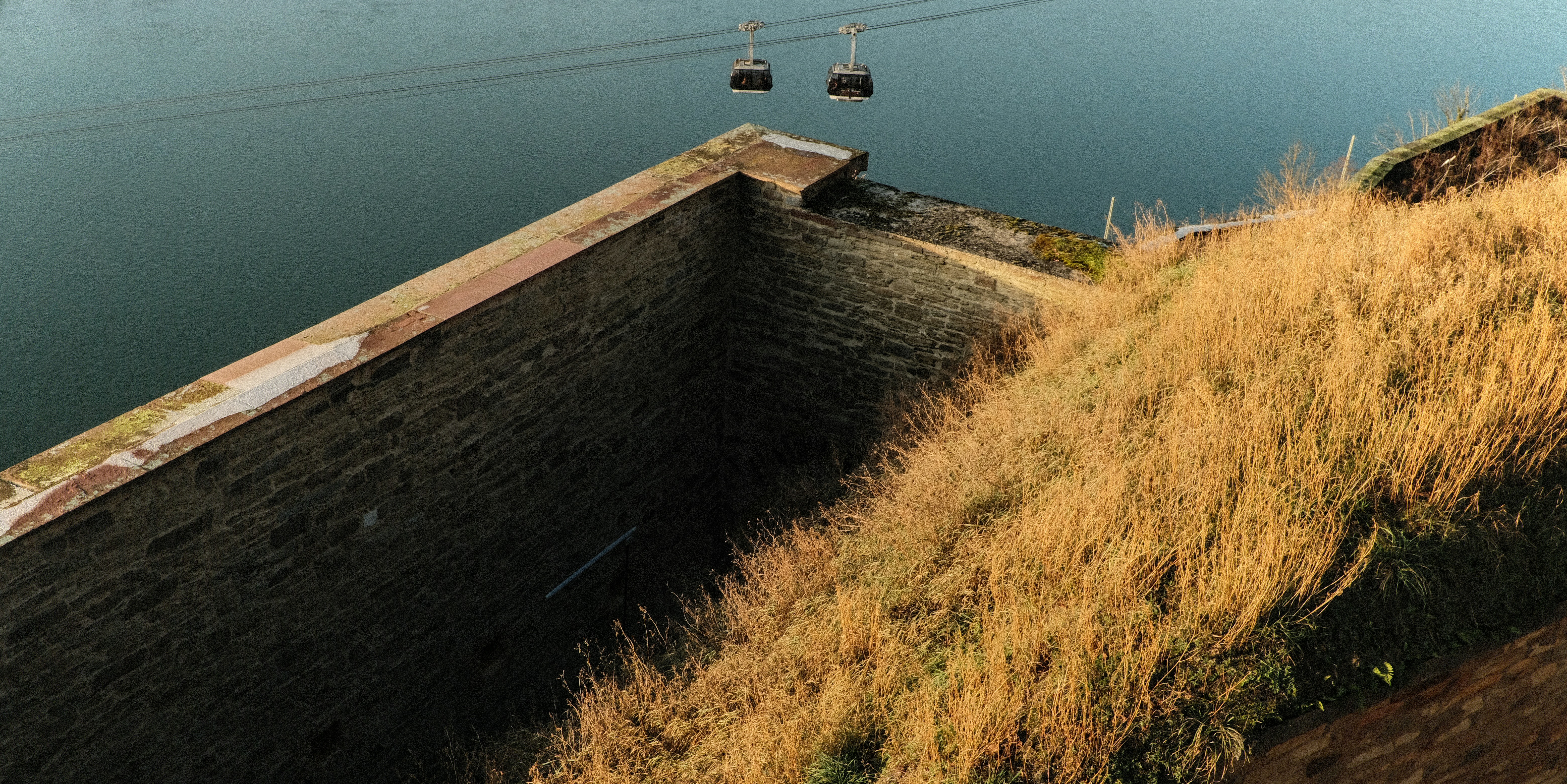 Edge of the Dam: Sunlit Brush and Quiet Water