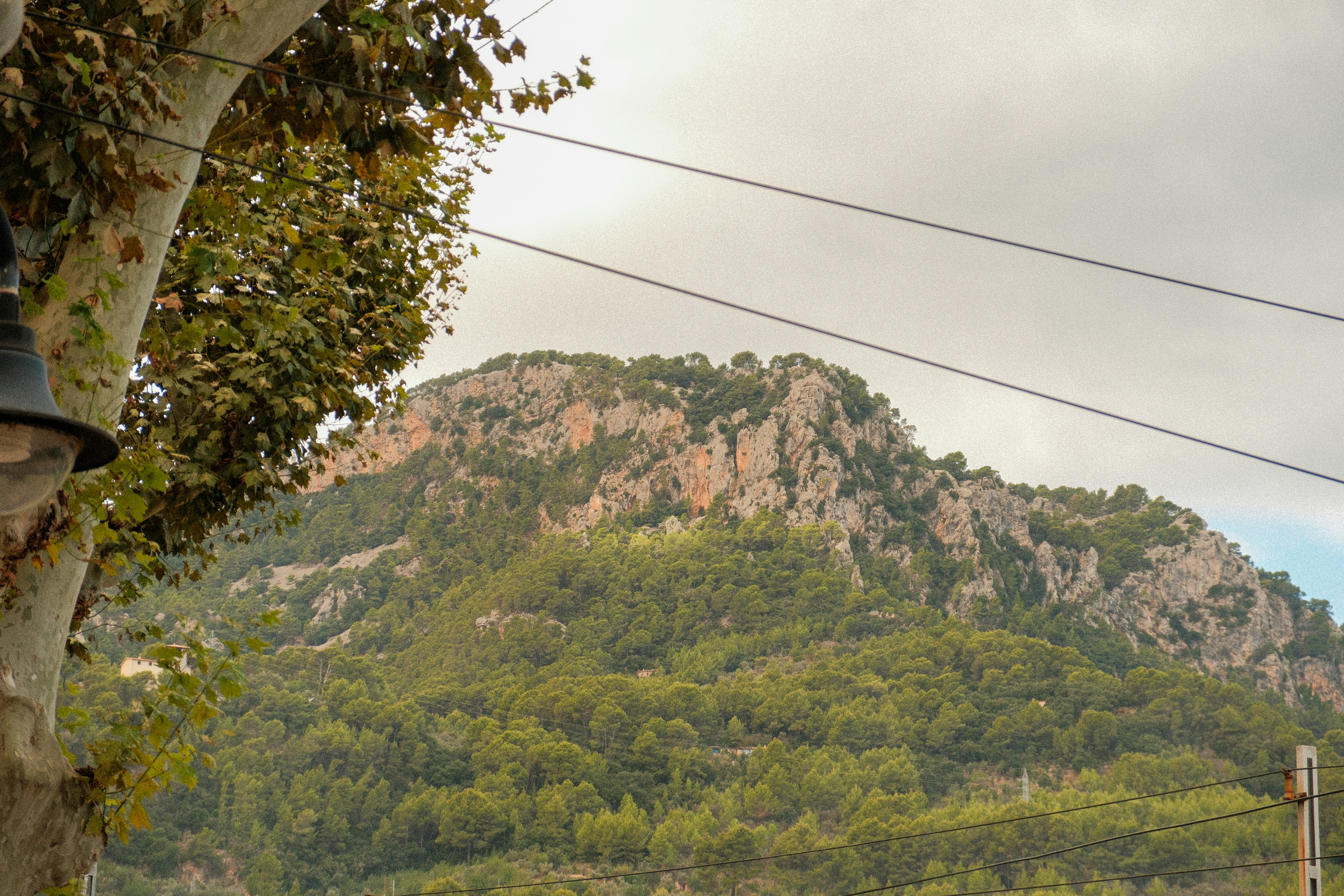 Rocky mountain peak covered in green trees. photo – Free Forest Image ...