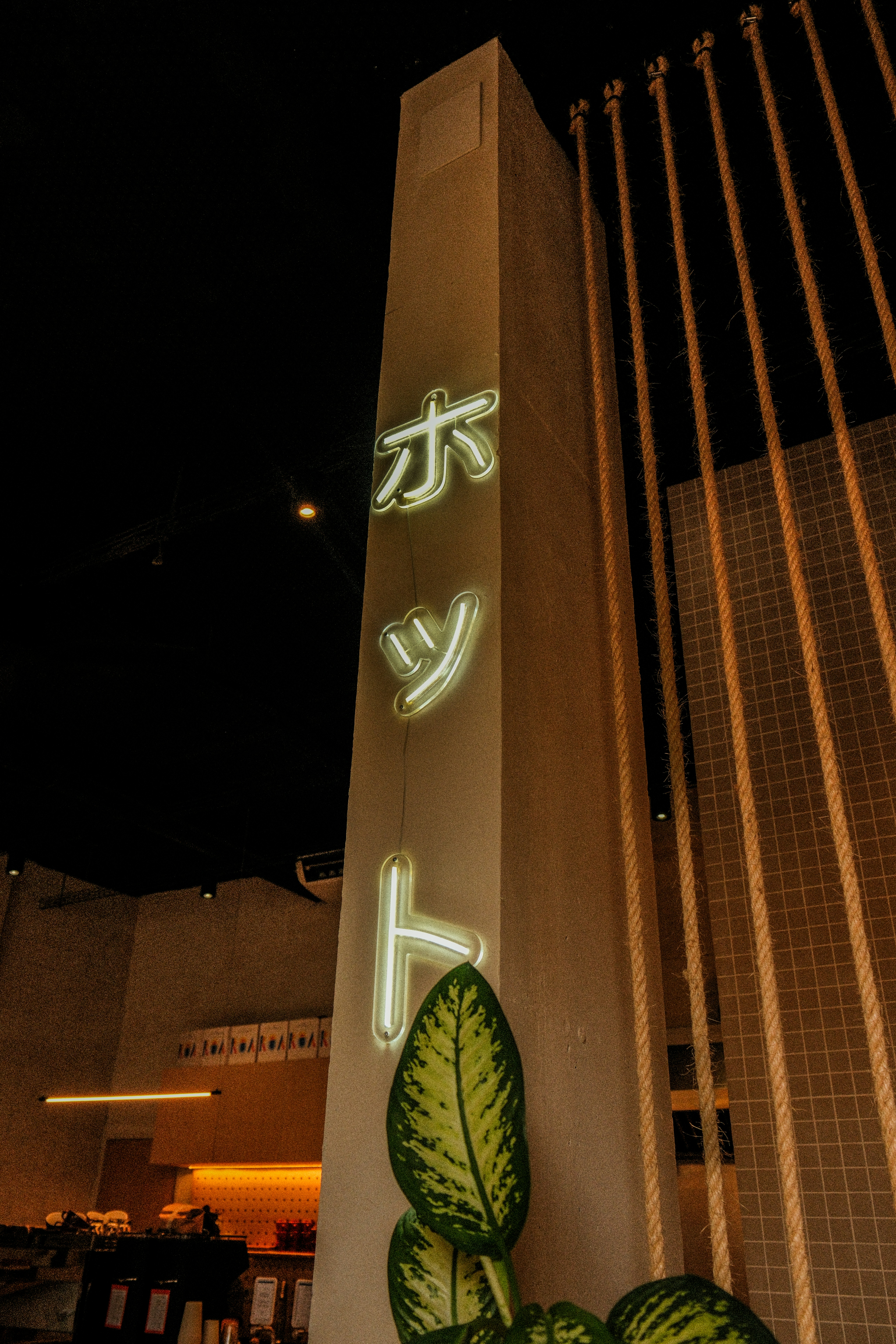 Neon Japanese Characters Illuminate a Monumental Facade