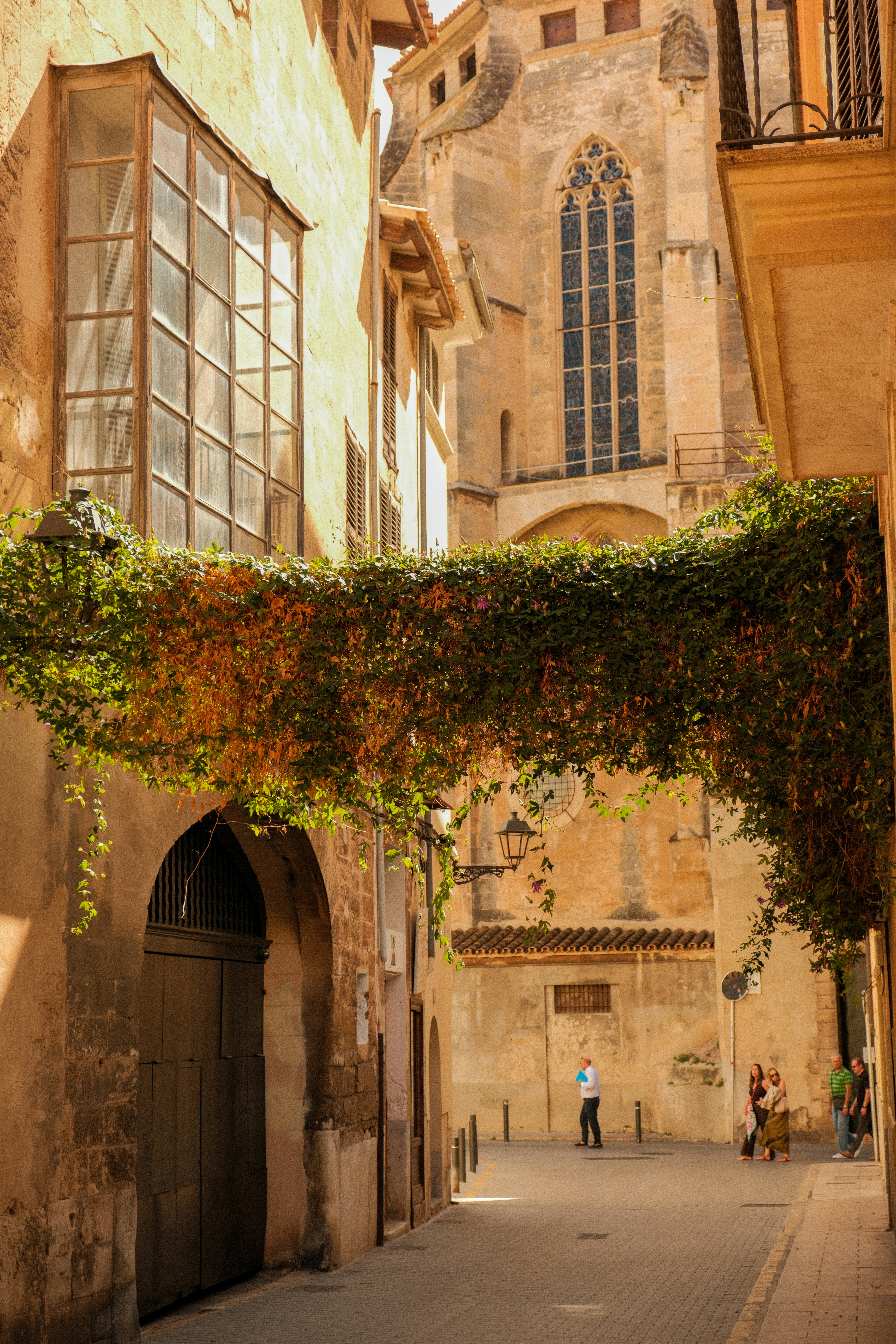 Sunlit Alleyway Cathedral Gap