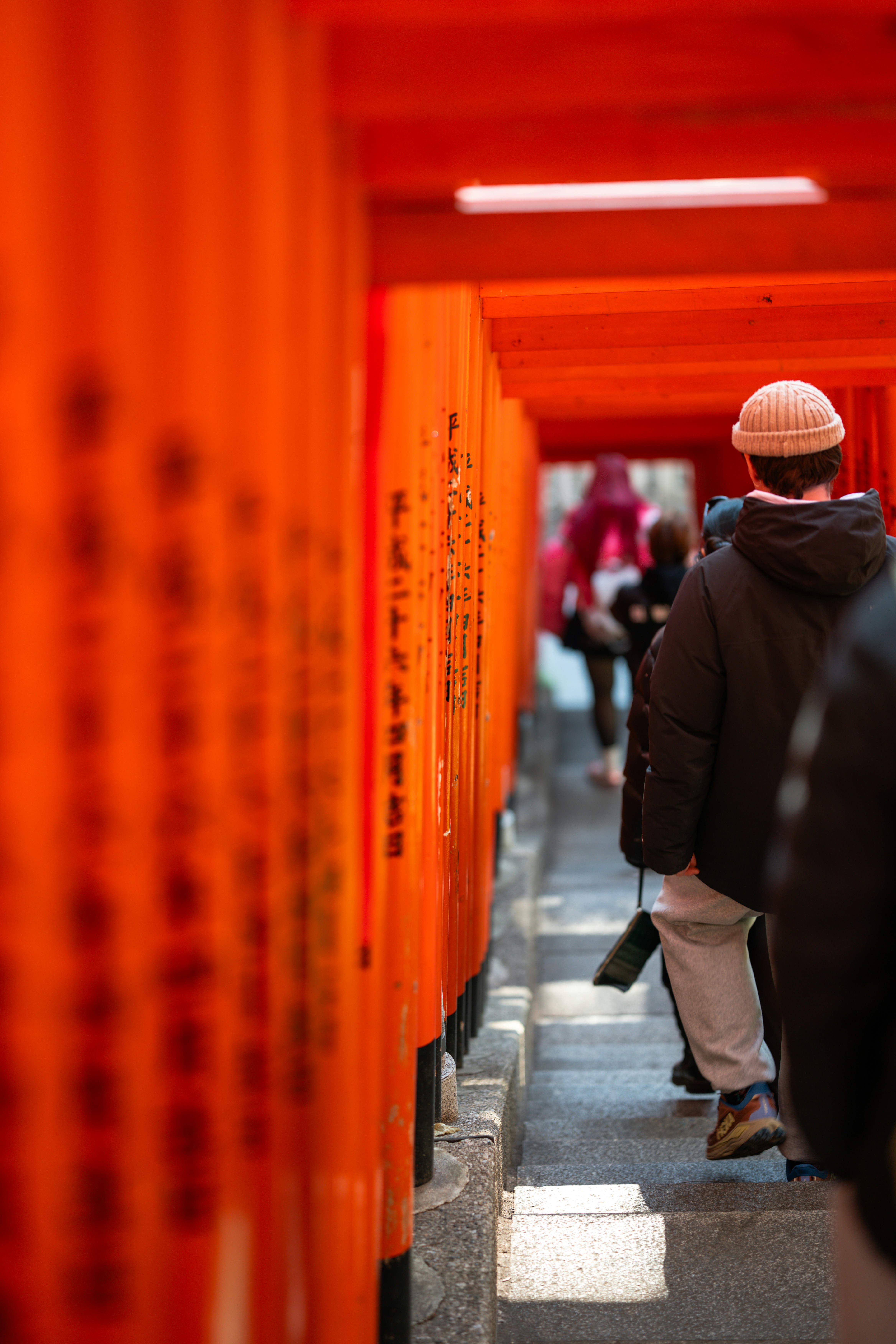 Trail of Red Columns: A Traveler in the Torii Corridor