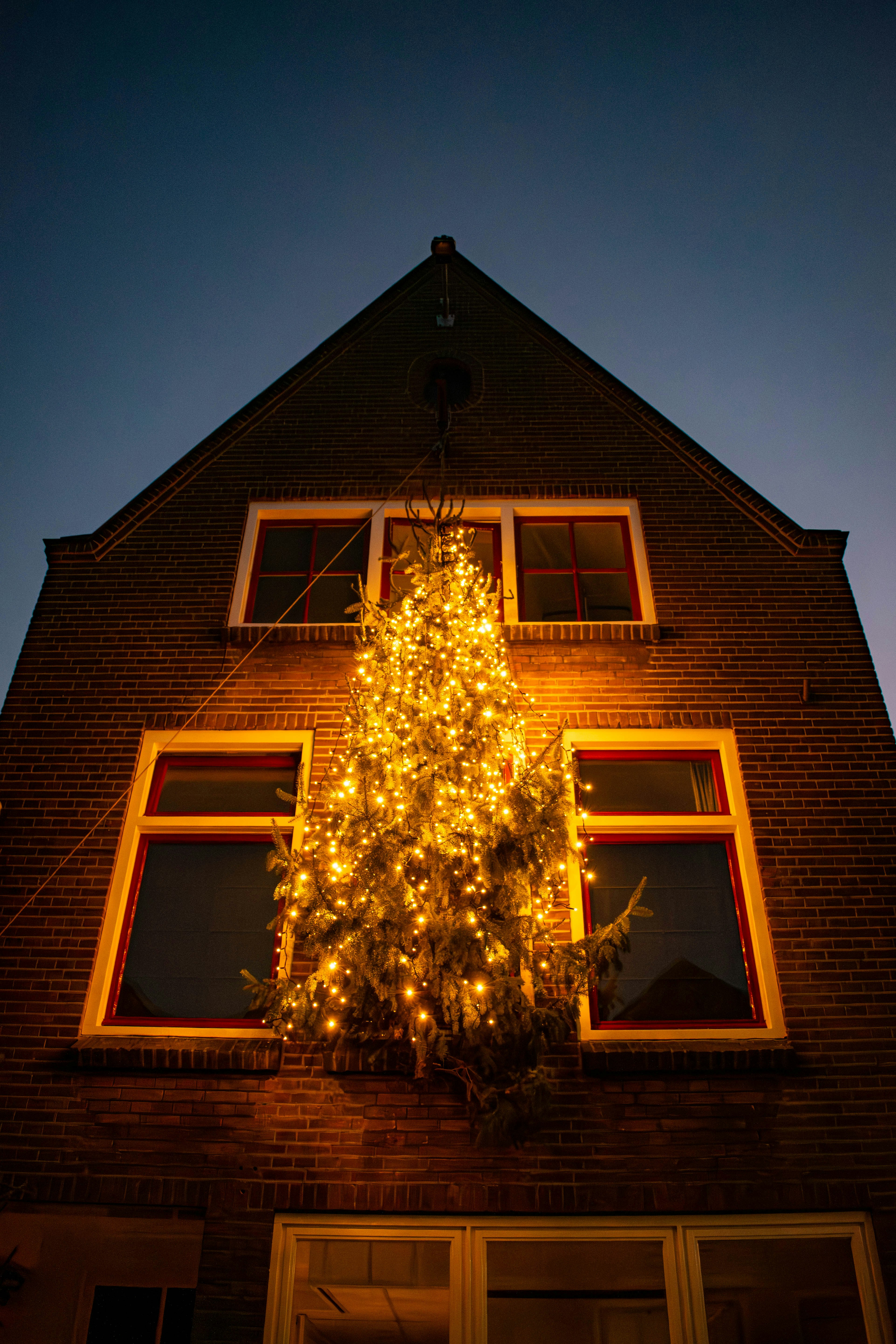 A Festive Tree Crowned by Warm Lights Against a Brick Villa