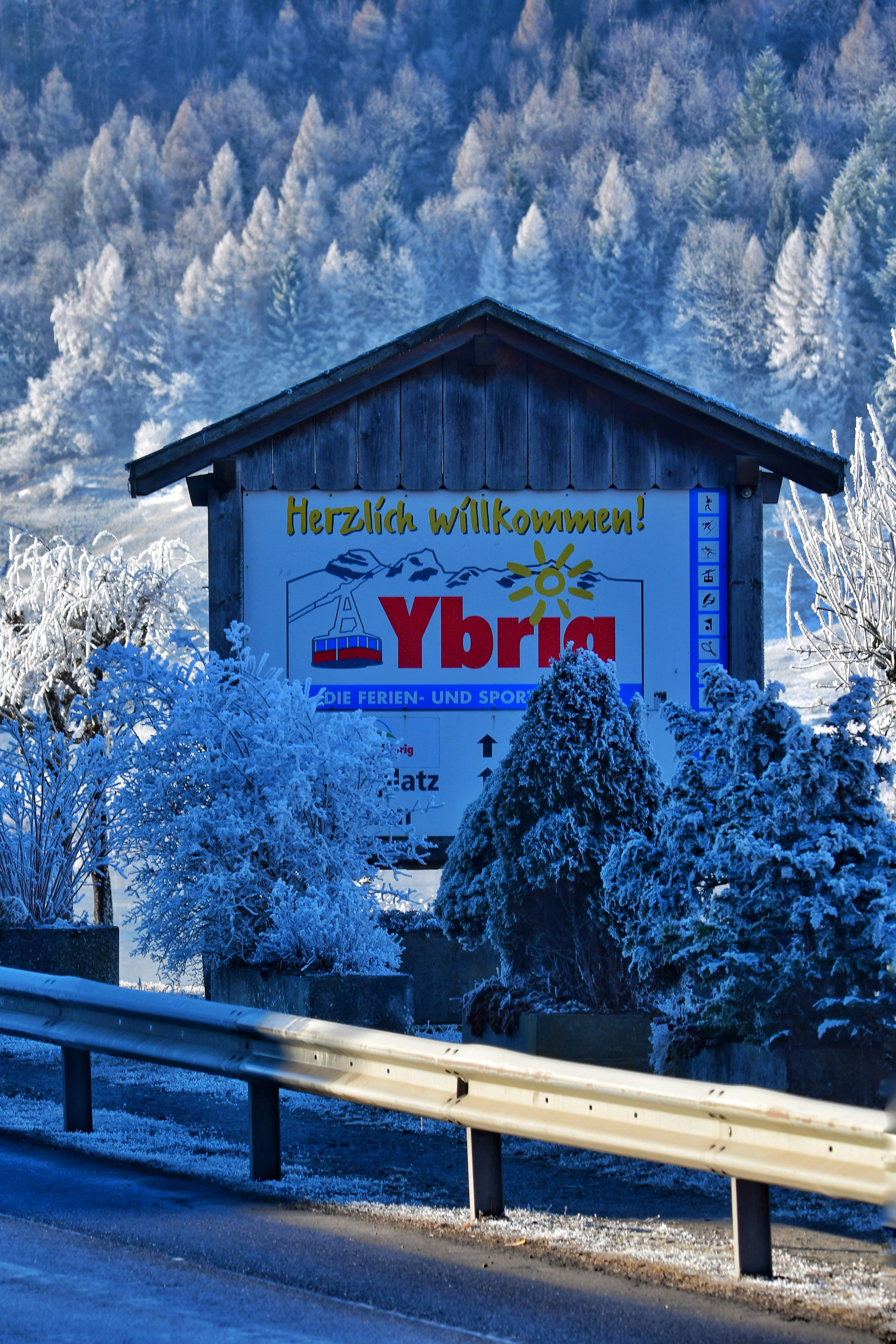 Snowbound Signpost: A Cozy Welcome Amid Winter Pines