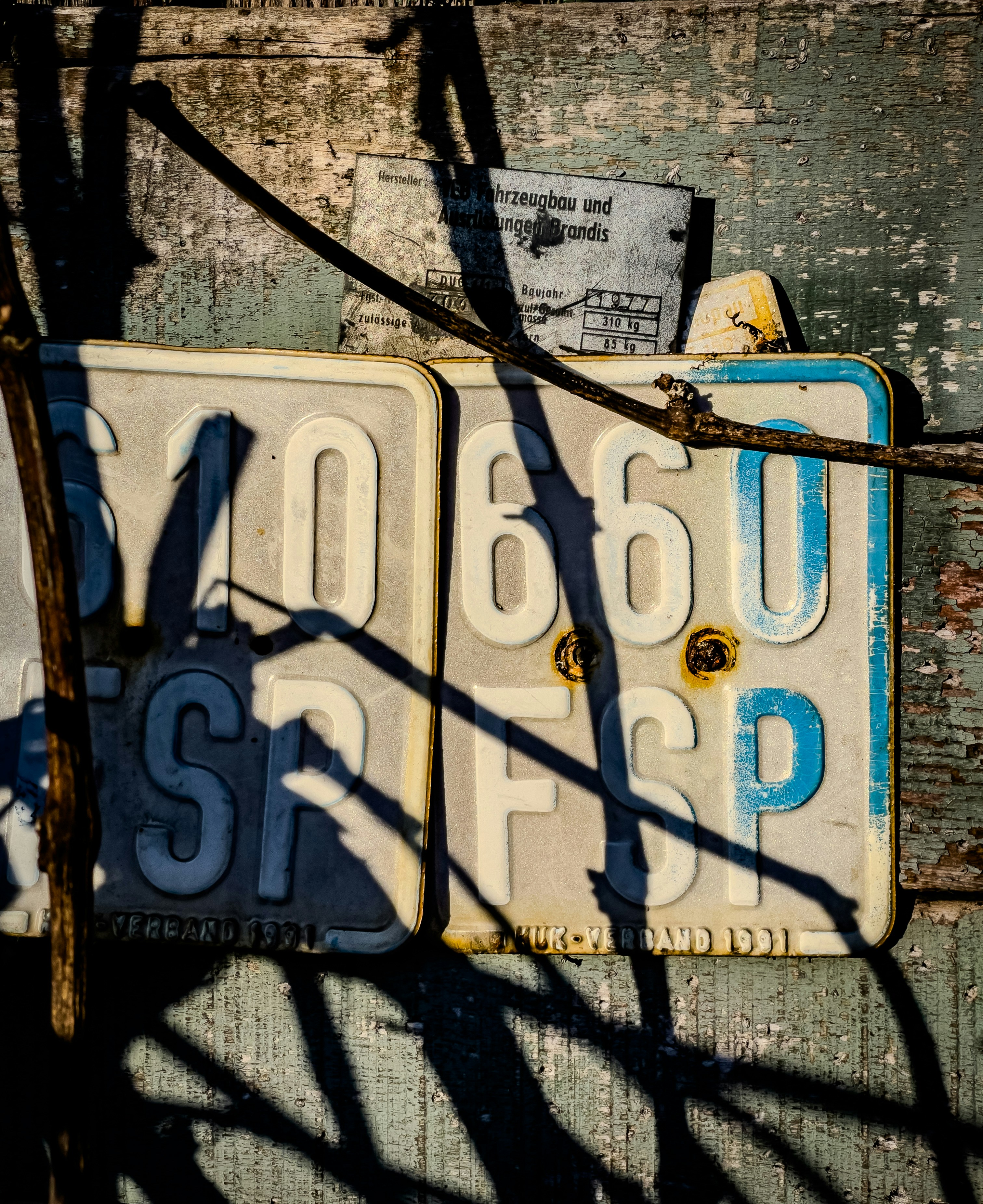 Photo by Bernd 📷 Dittrich with Apple iPhone 12 Pro