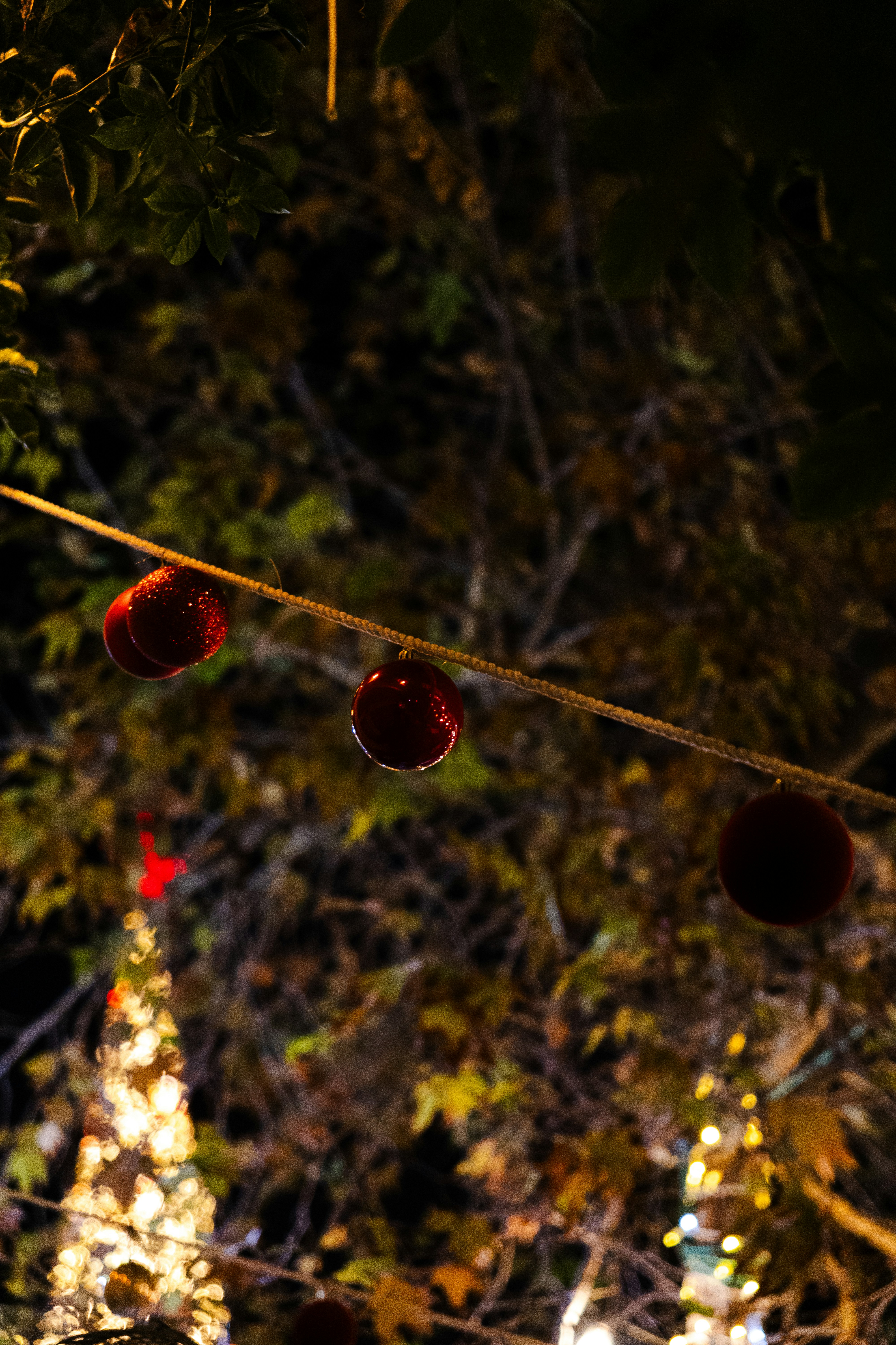 Red Orbs on a warm night: lantern-lit fruit garland across a dim garden