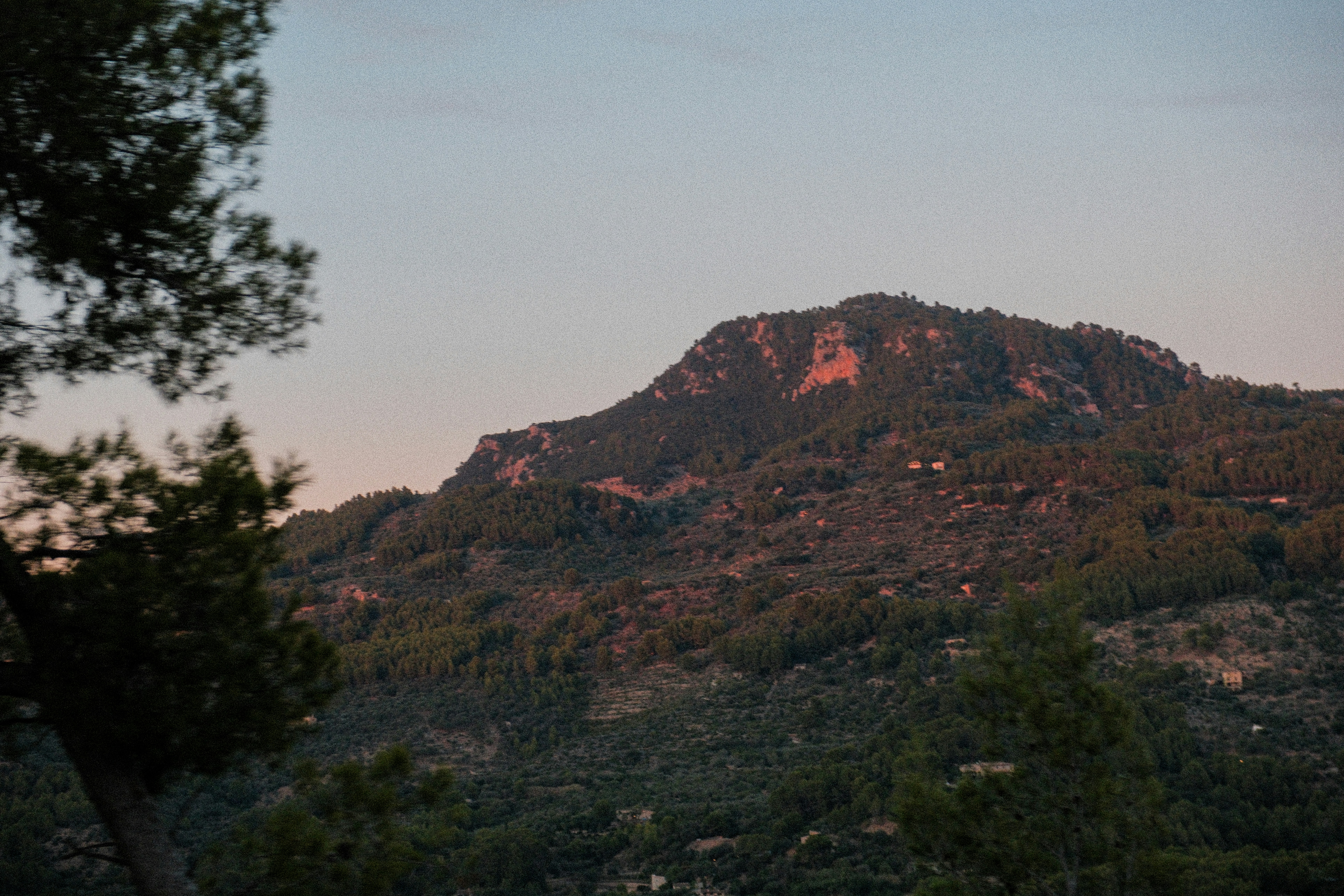 Sunlit summit: a quiet hill crowned by warm dusk