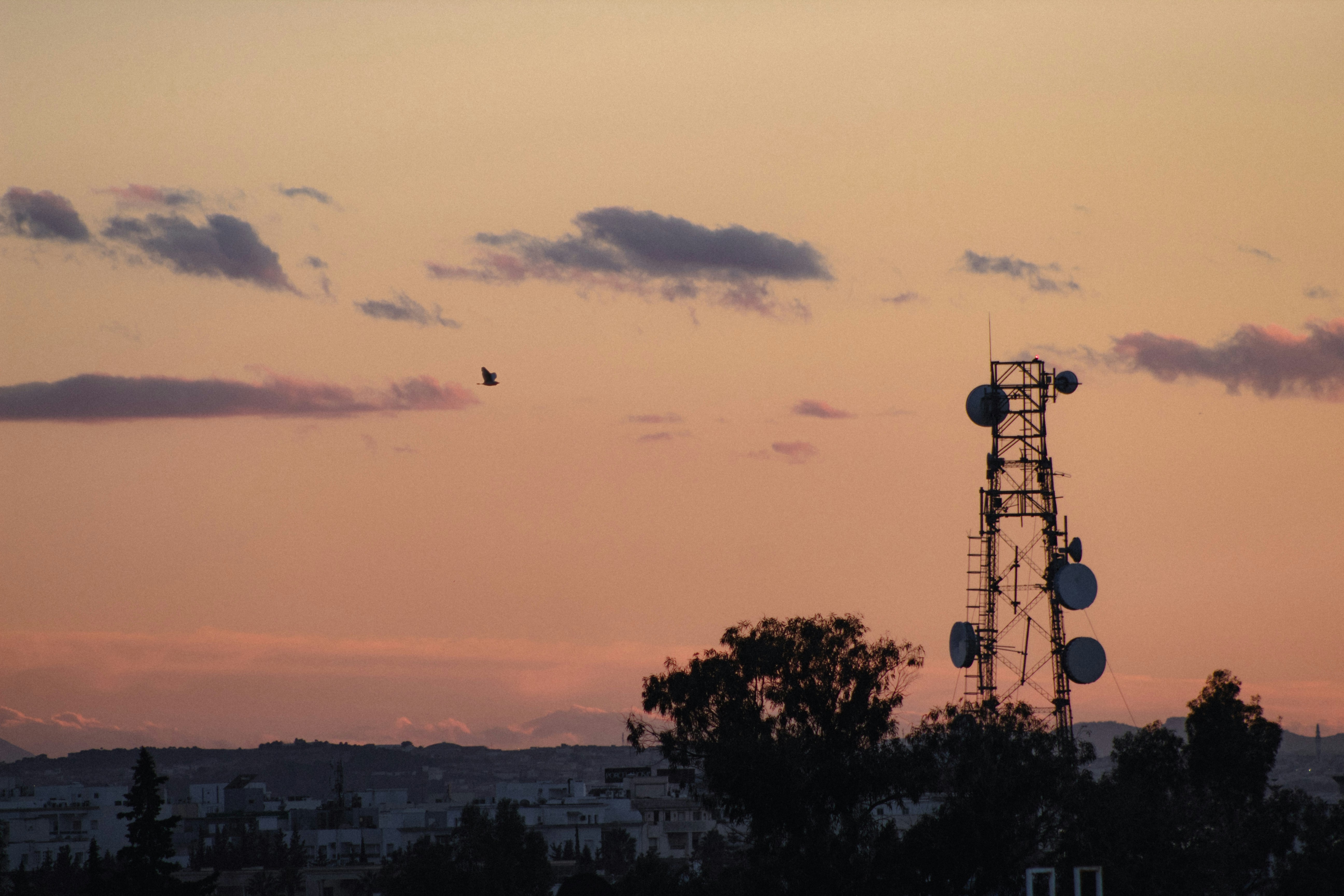 Cell Tower Silhouette at Dusk Over a Quiet City
