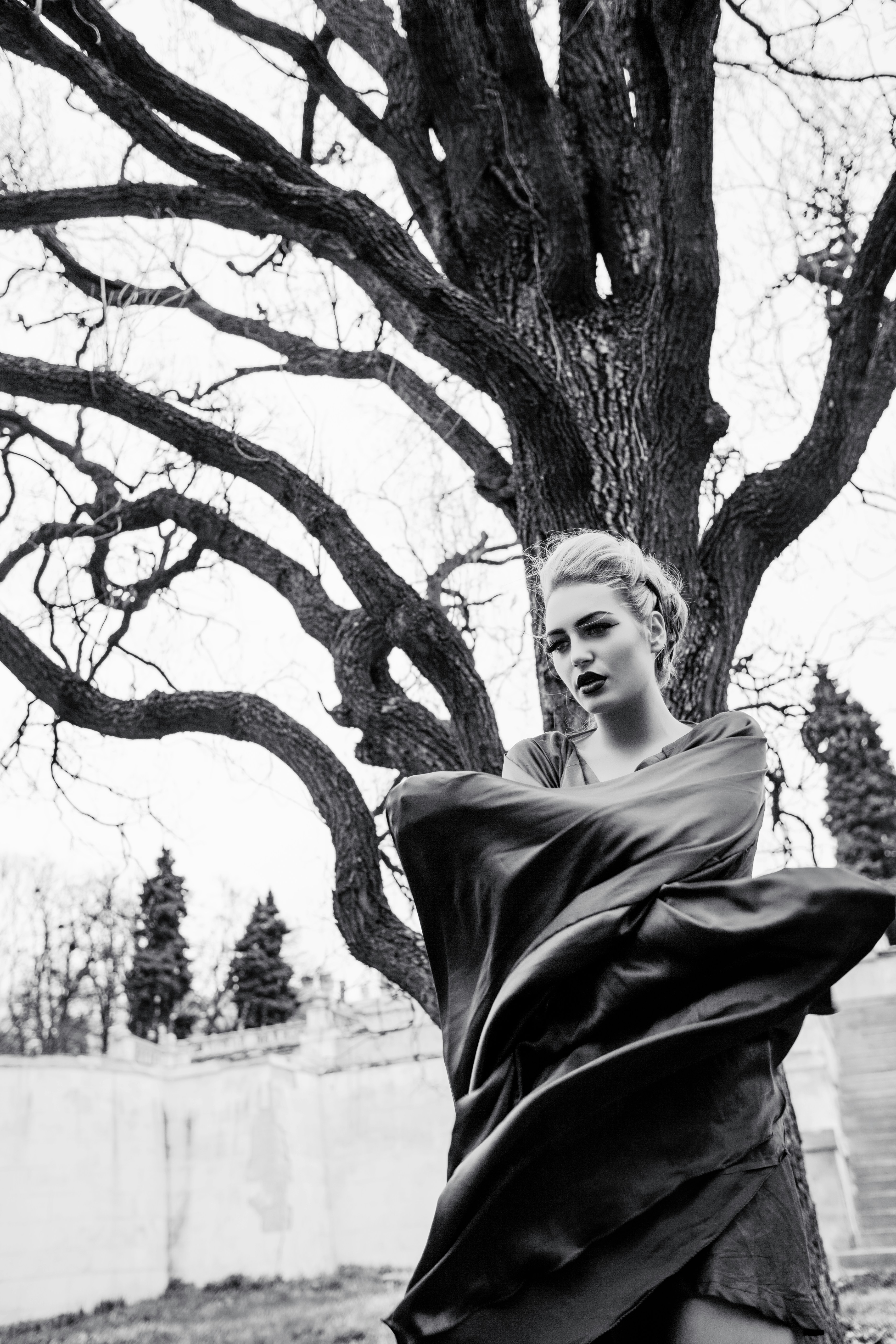 Black-and-White Gown in an Arbor of Shadows