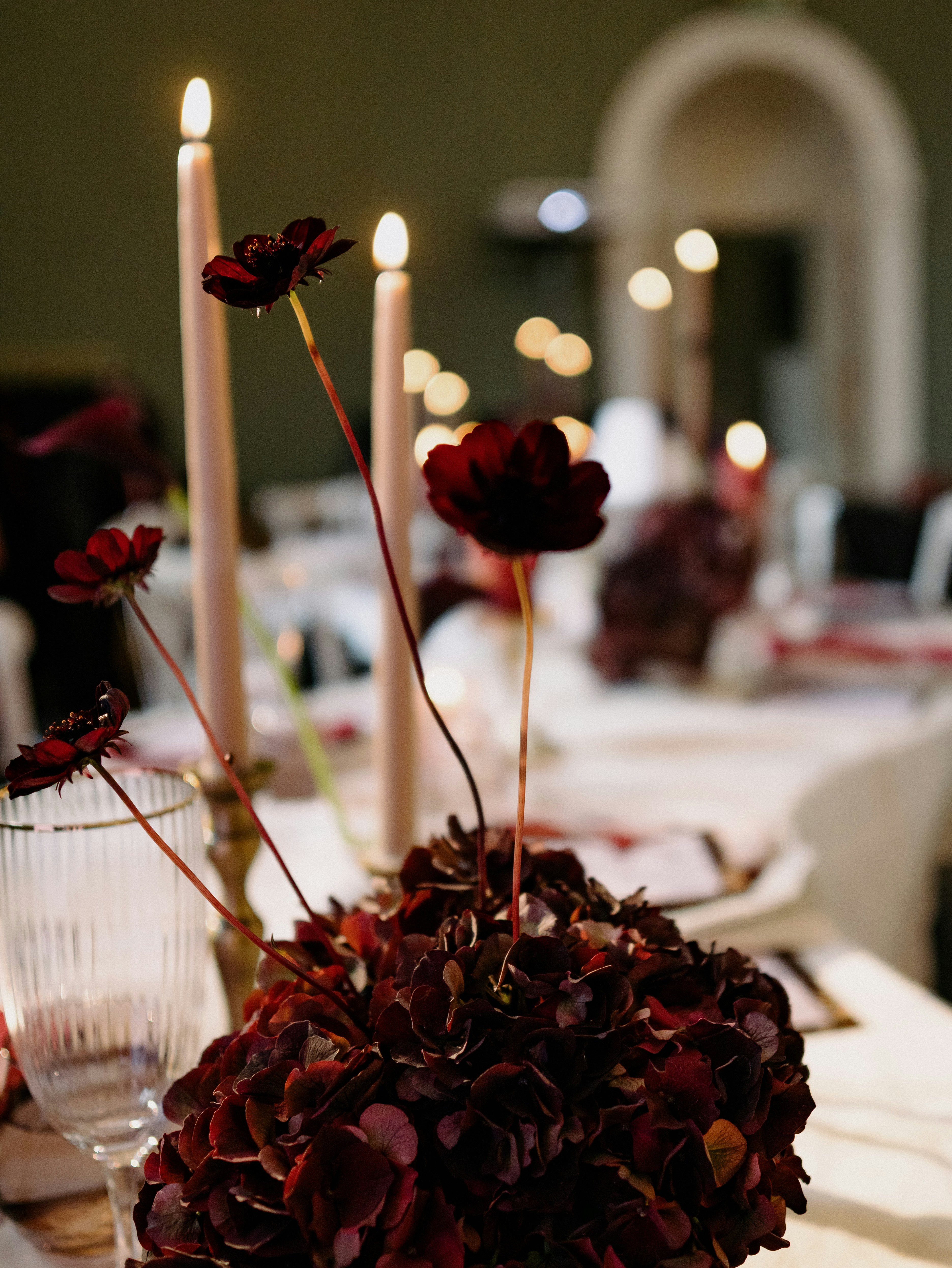 Photo by Katie Puzatova with Panasonic Lumix G9 Mark II