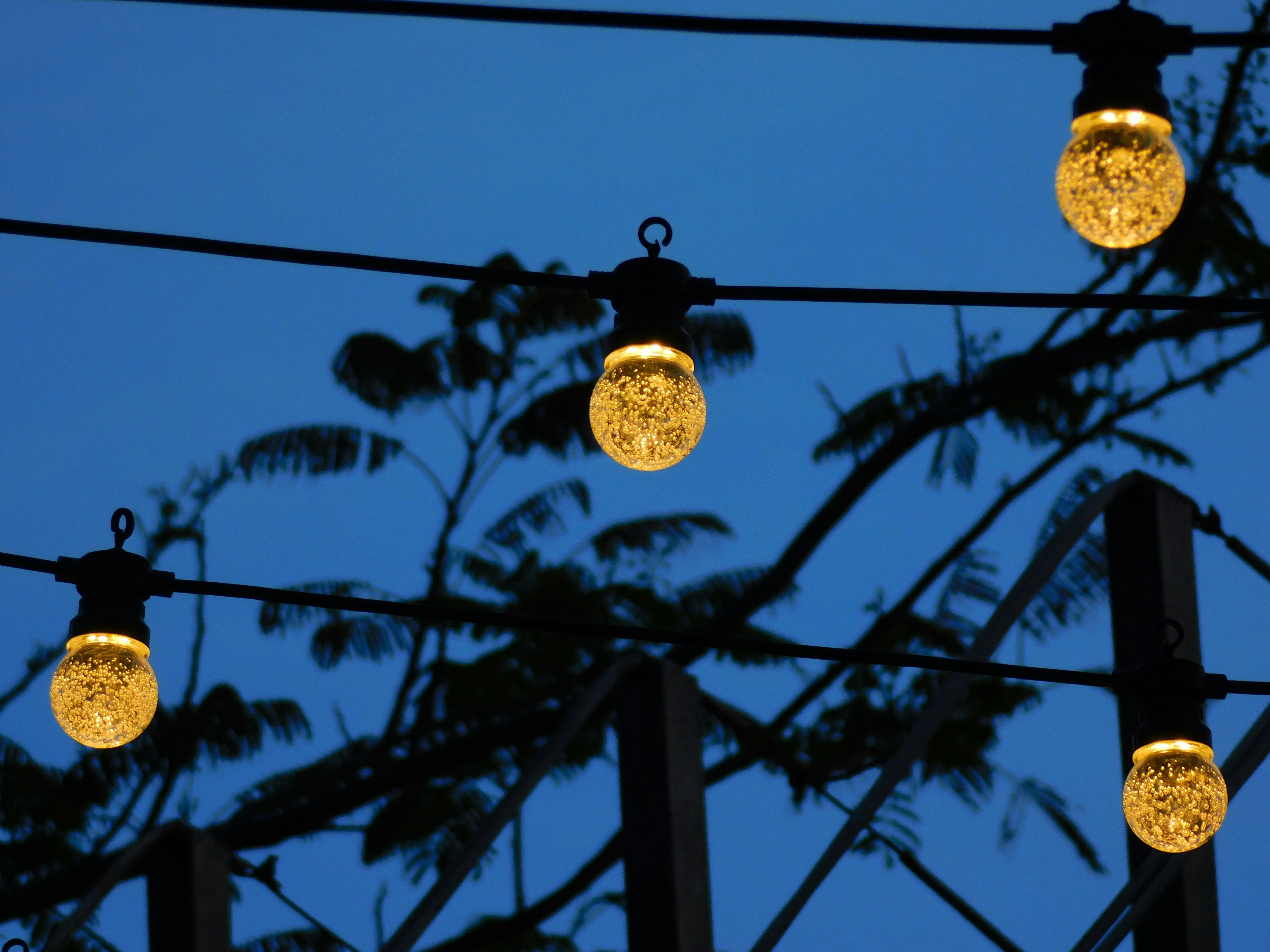 Evening Glow: String Lights Framing a Nightscape