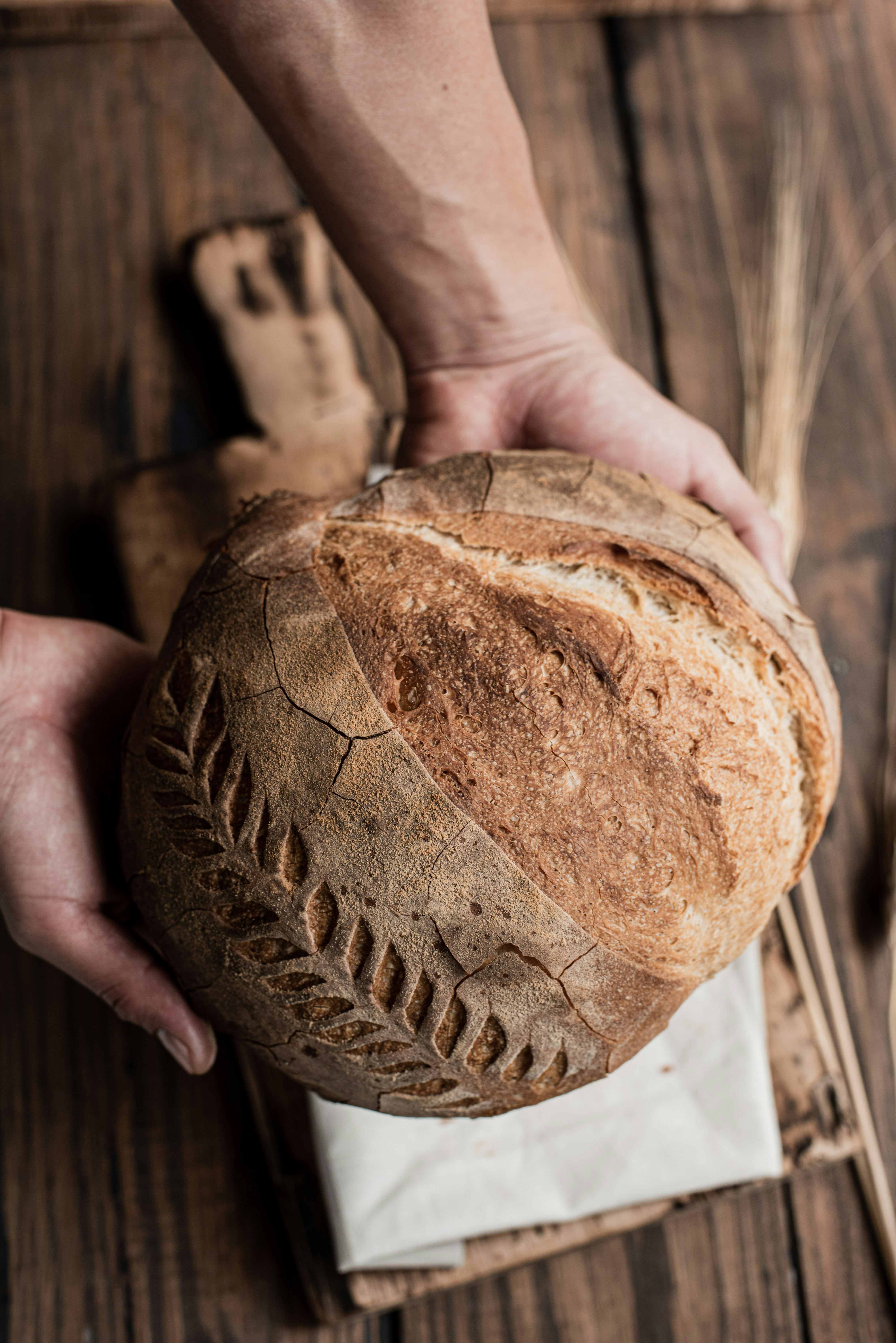 Handful of Hearth: Crafting Fresh Loaves from a Round Rustic