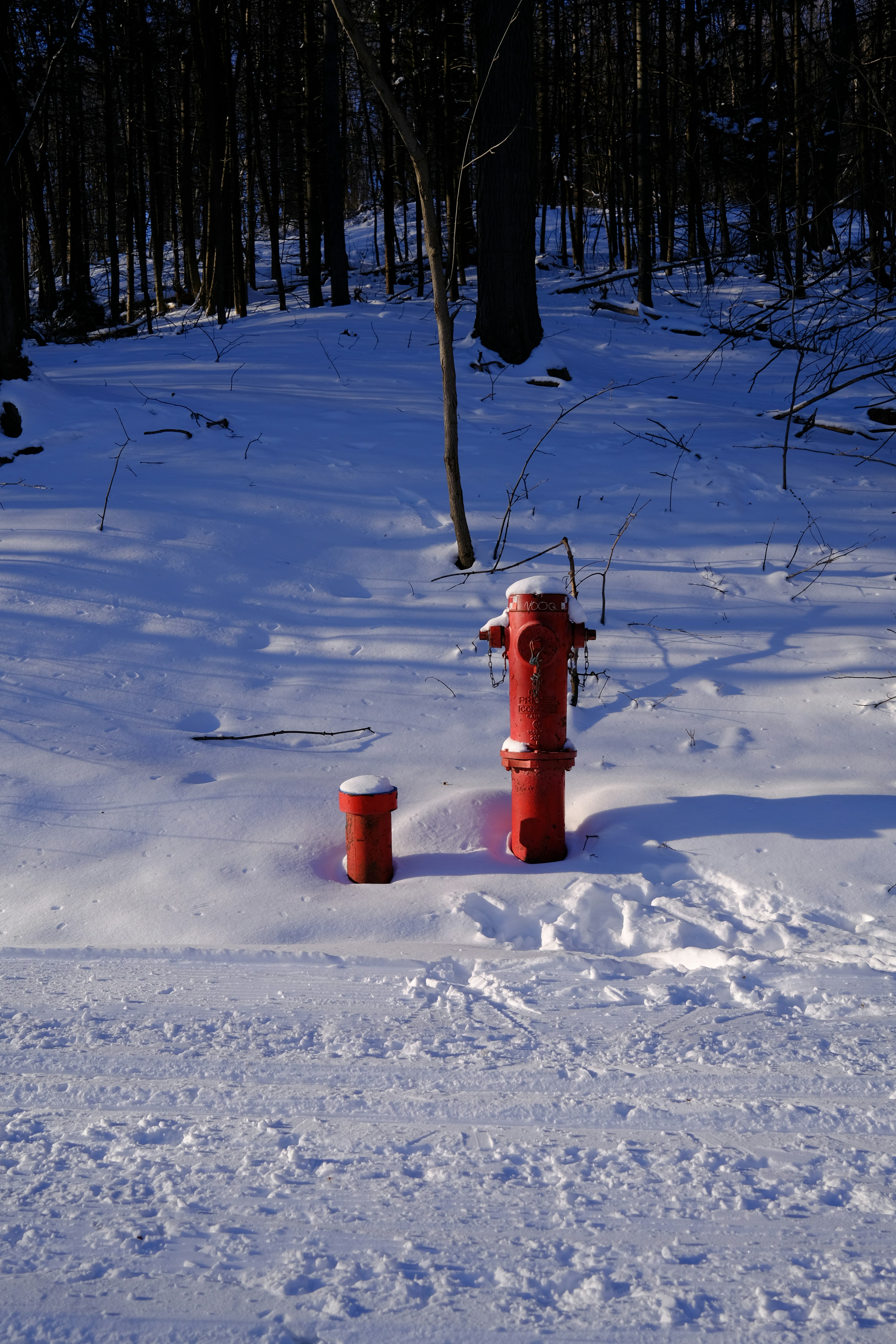 Photo by John Zhou with Fujifilm X100V