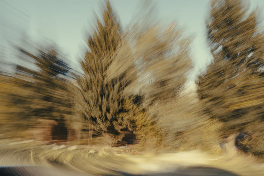 Blurry motion captures a suburban lane with trees and a moving vehicle, conveying speed and perspective; indicates a scene with motion and a sense of place without identifying individuals. This is a photograph, not a drawing or painting.