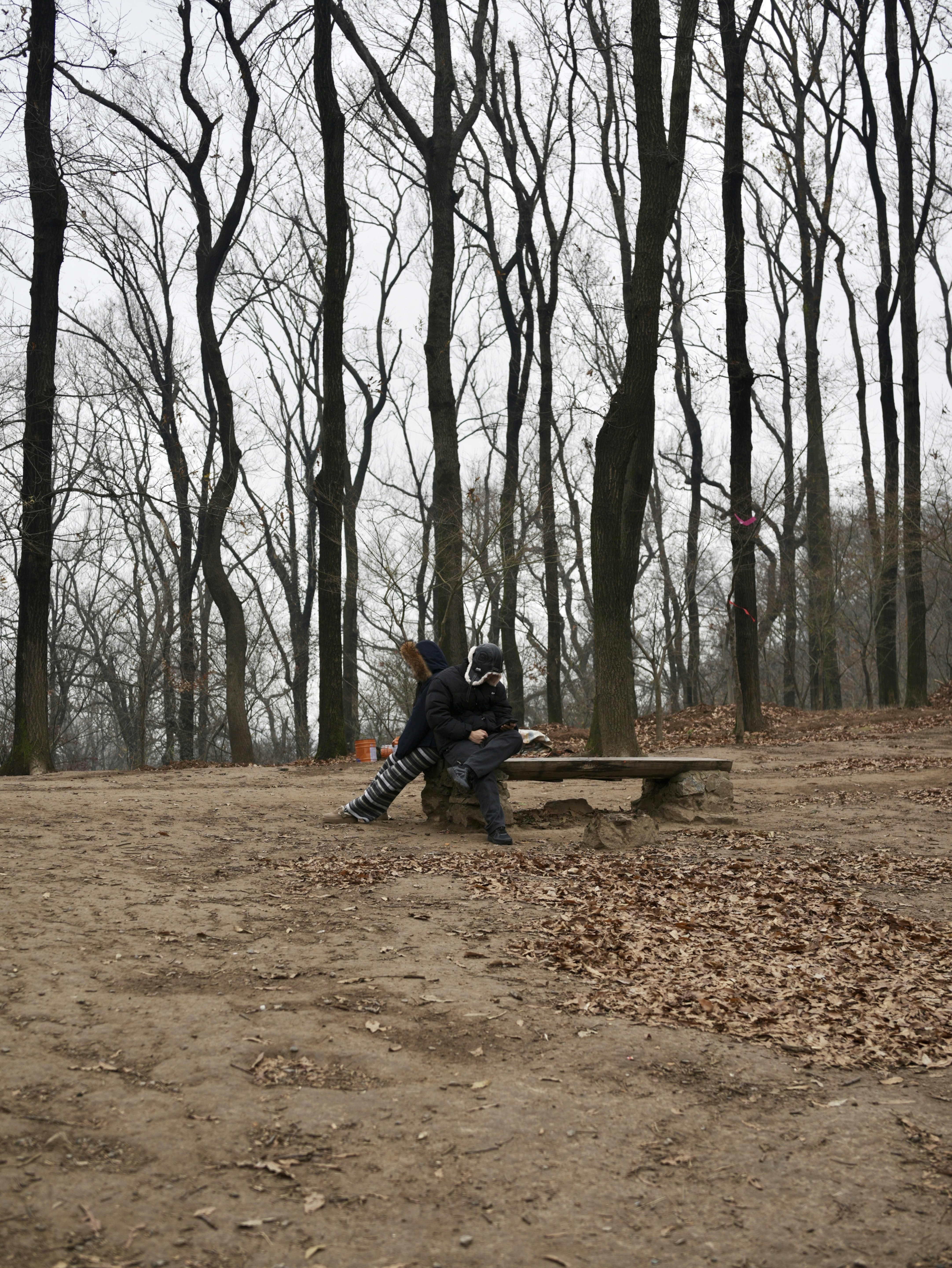 Quiet Moment on a Winter Hill: A Couple in the Park